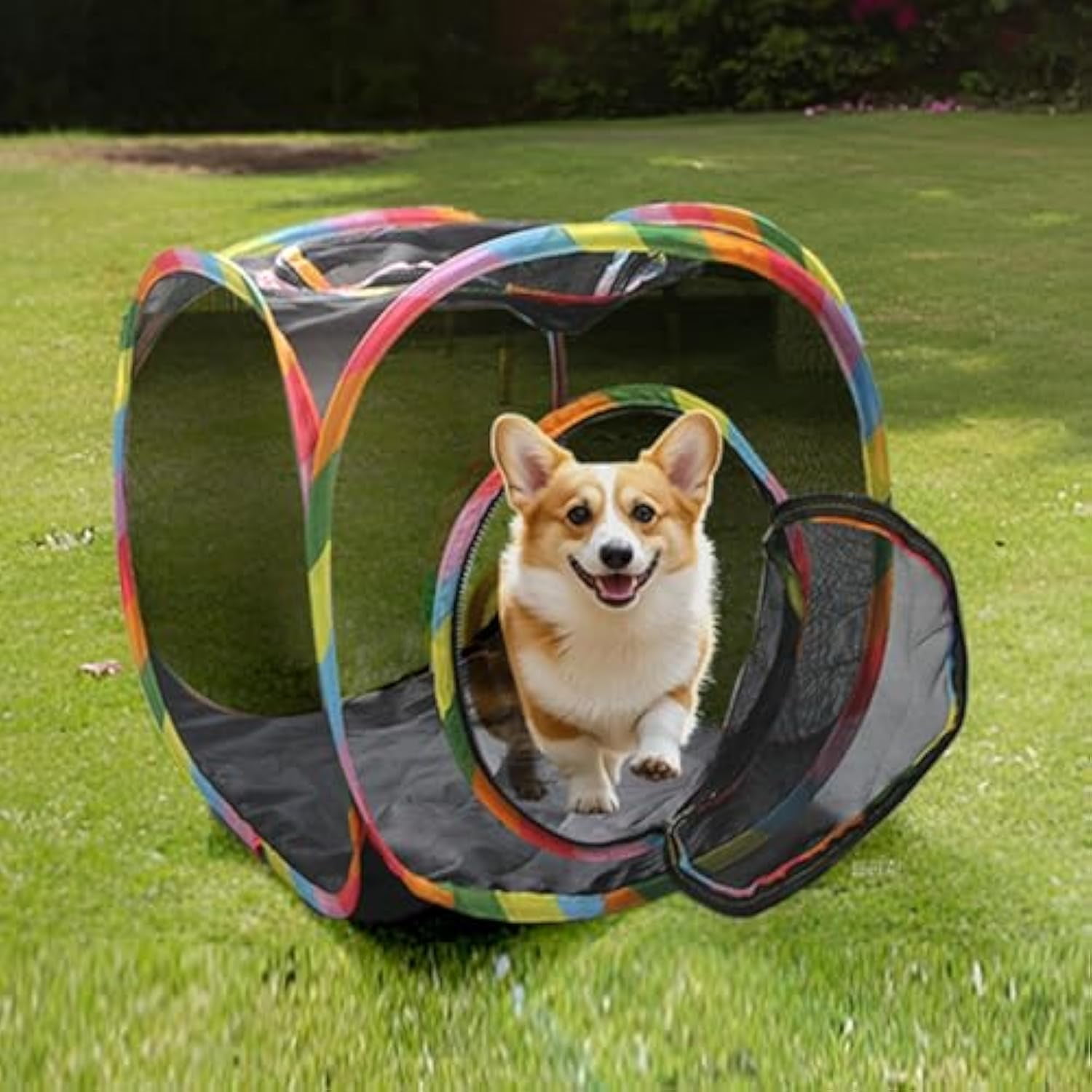 Cat Cube Tent, Rolling Cat Cube, Mesh Cube for Cats, Pet Play Cubic ...