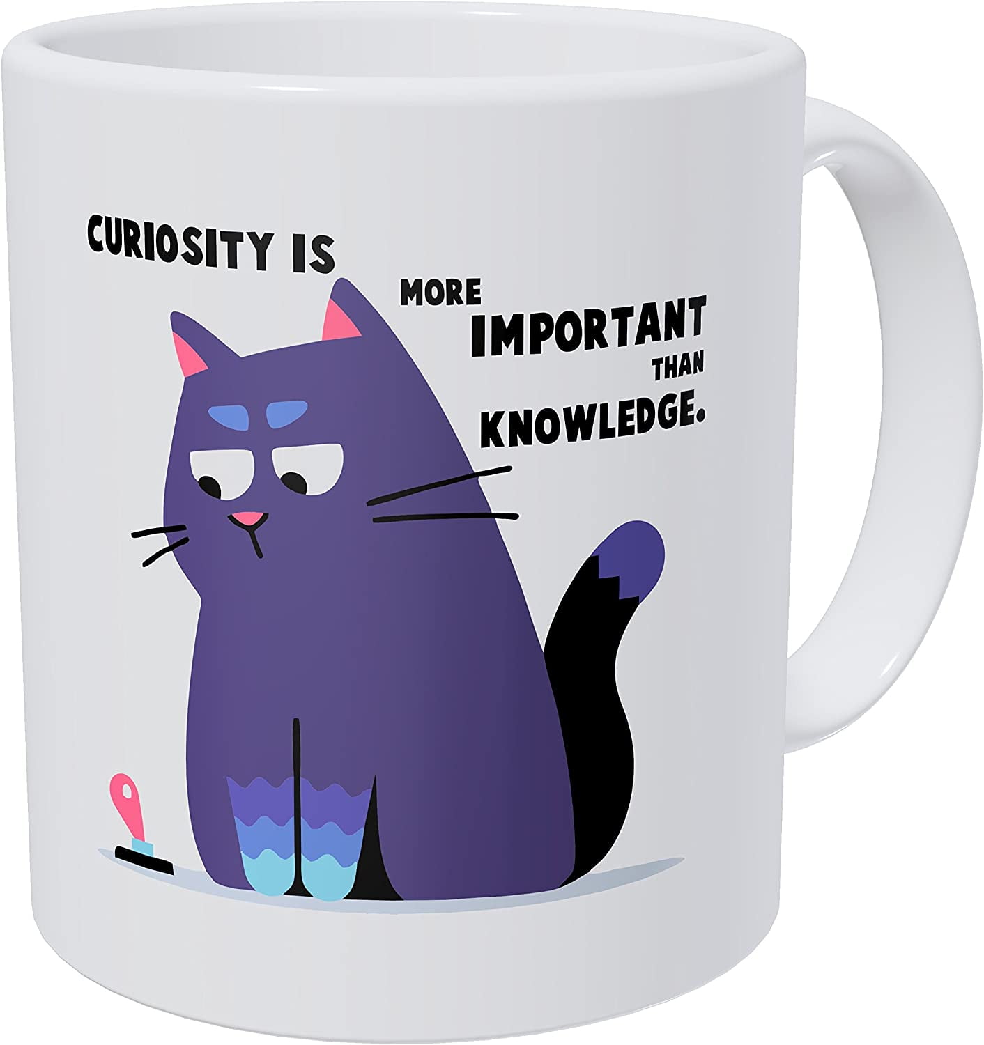 Cat Curiosity is More Important Than Knowledge Albert Einstein 11 ...