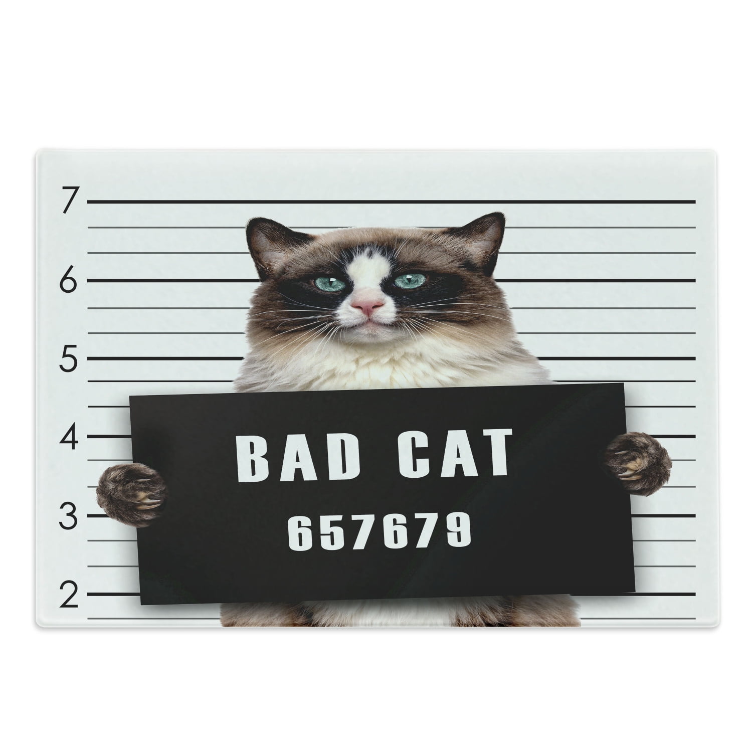 Cat Cutting Board, Bad Gang Cat in Jail Kitty Under Arrest Criminal ...