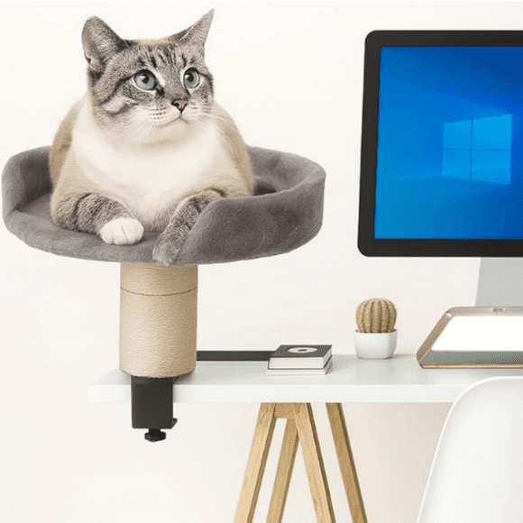 Cat Desk Bed