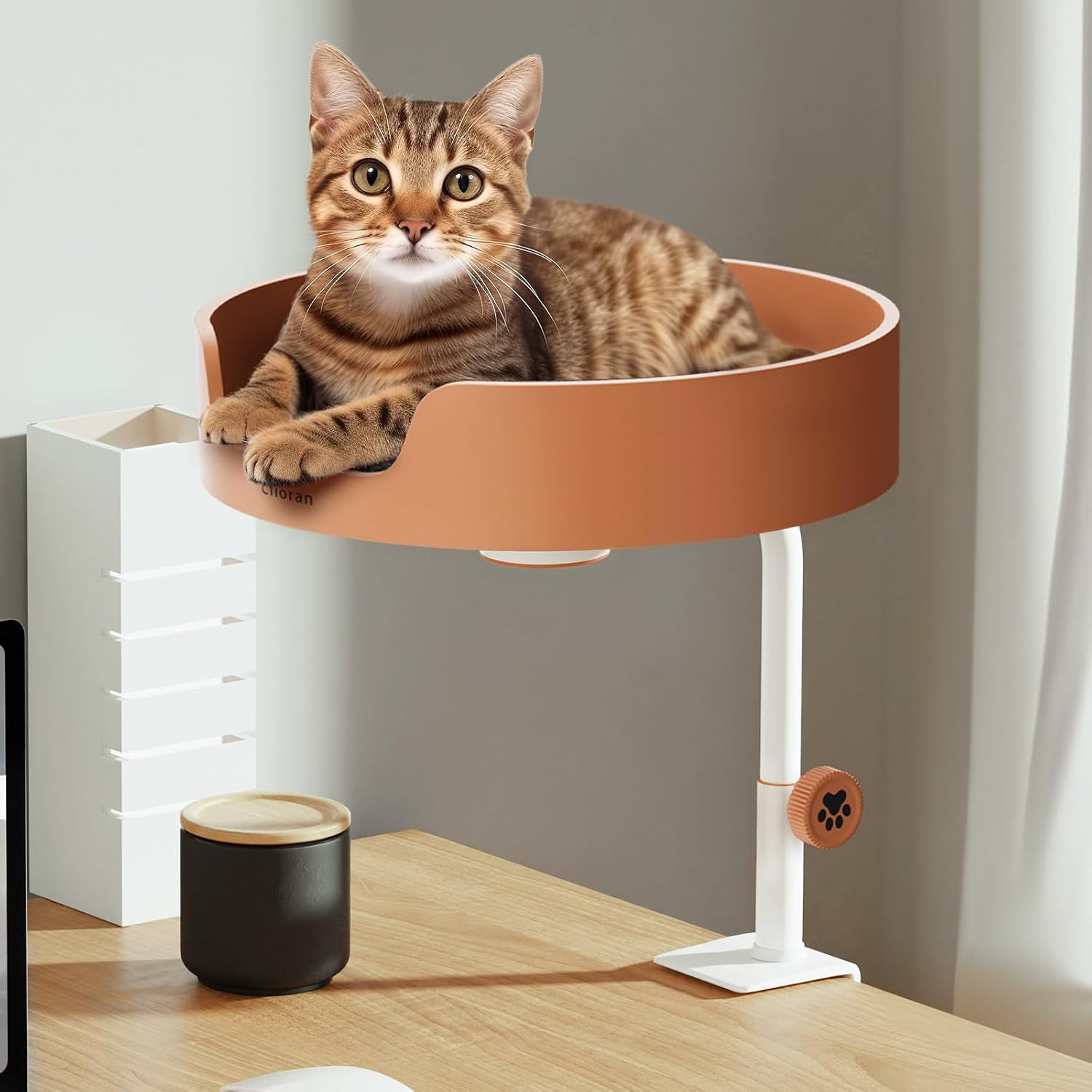 Cat Desk Bed Perch Nest with Teaser Easy Install,Space Saving Design ...
