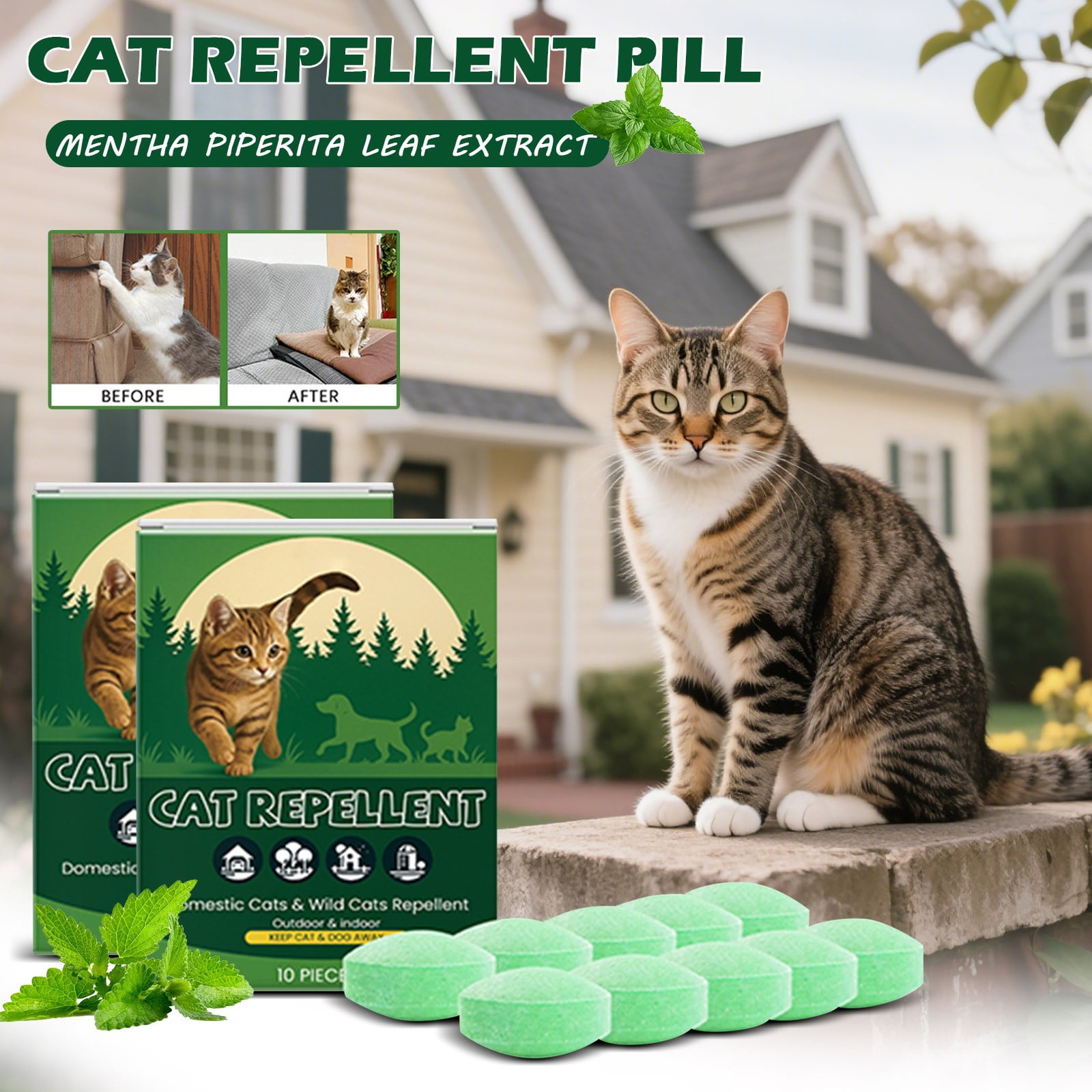 Cat Deterrent Ball Repel Catnip Ball Train Pet To Reduce Furniture Damage Natural Ingredients ...