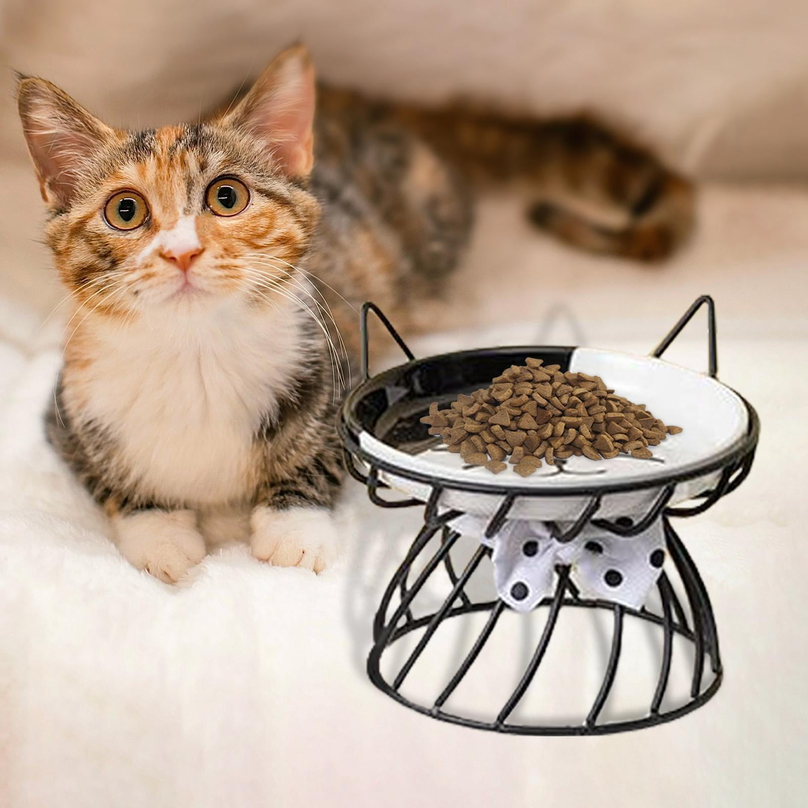 Cat Dog Bowl Snack Canned Dish with Metal Raised Stand Drinking Eating ...