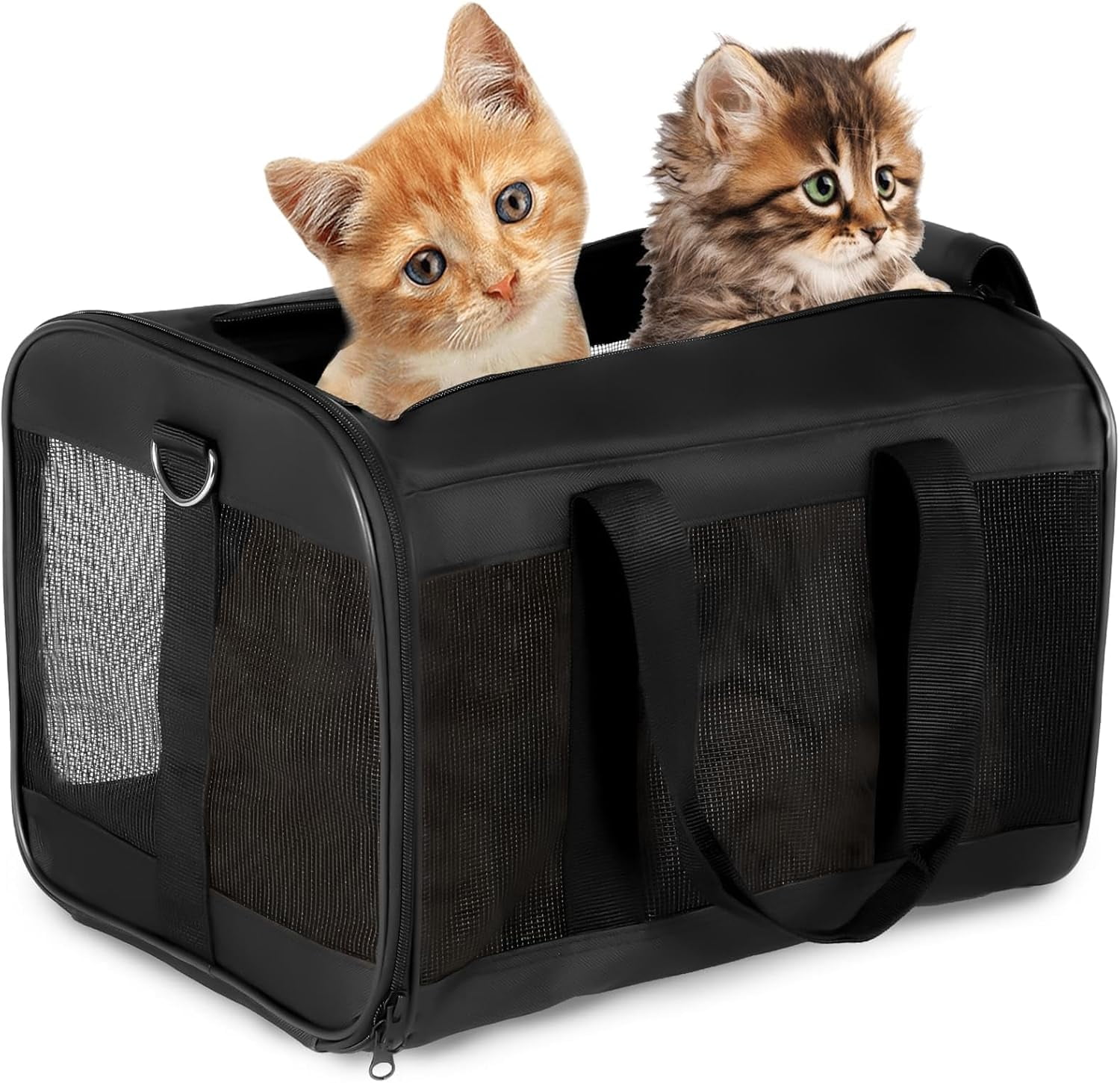 Cat Dog Pet Carrier for Medium to Large Cats (20+ lbs) and Small Dogs ...