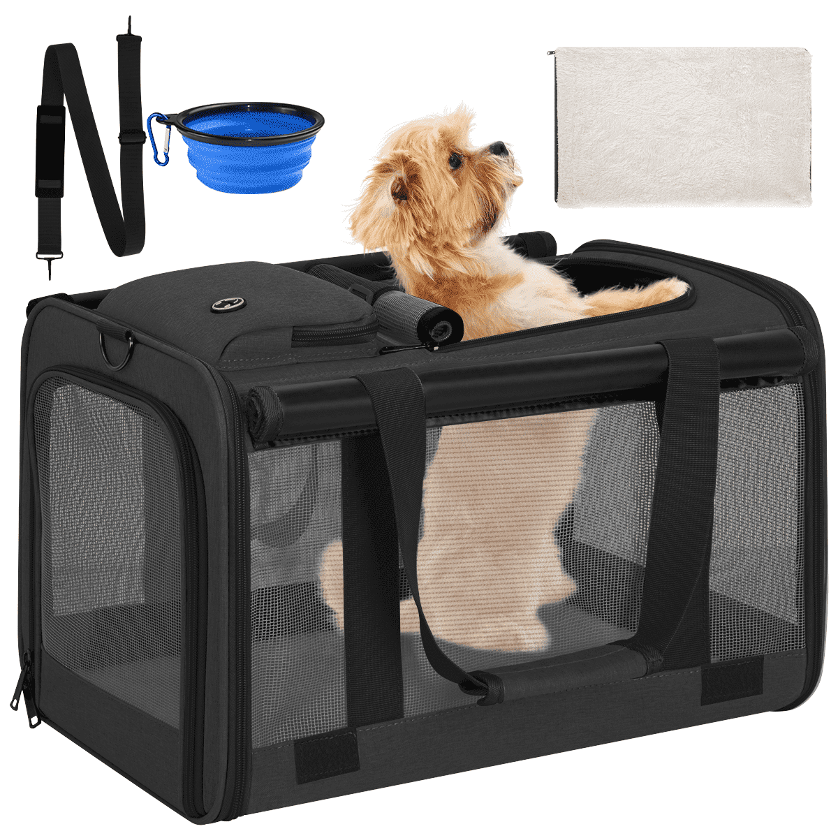 Cshidworld Large Soft-Sided Cat Carrier, Airline Approved, Black ...