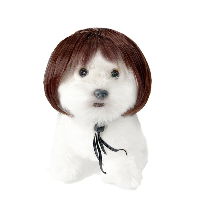 Cat Dog Pet Wigs Headdress Funny Costume Puppy Cross-Dressing Cosplay ...