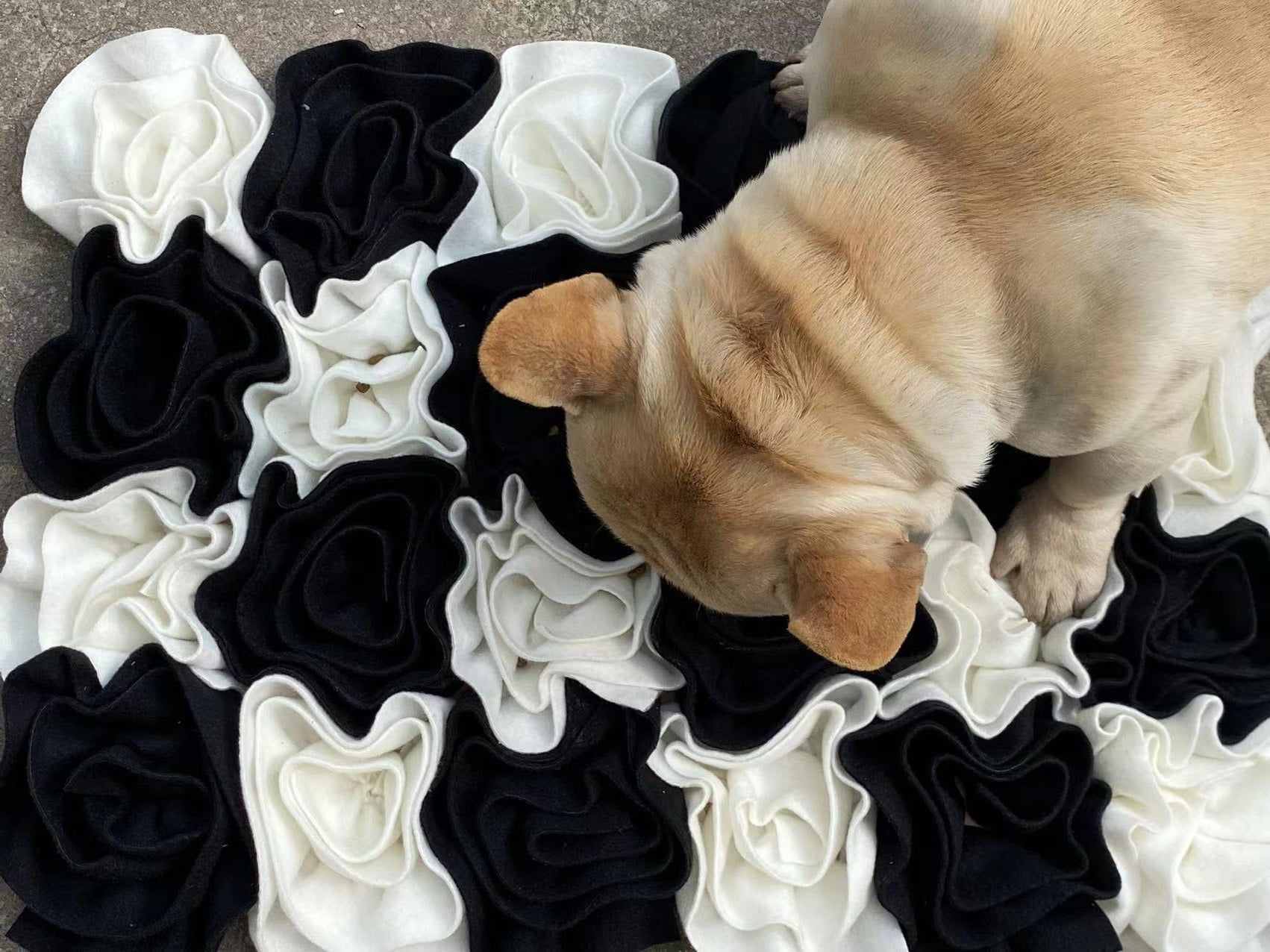 Cat Dog Stitch snuffle mat, Black and White , Tough, Easy to clean slow ...