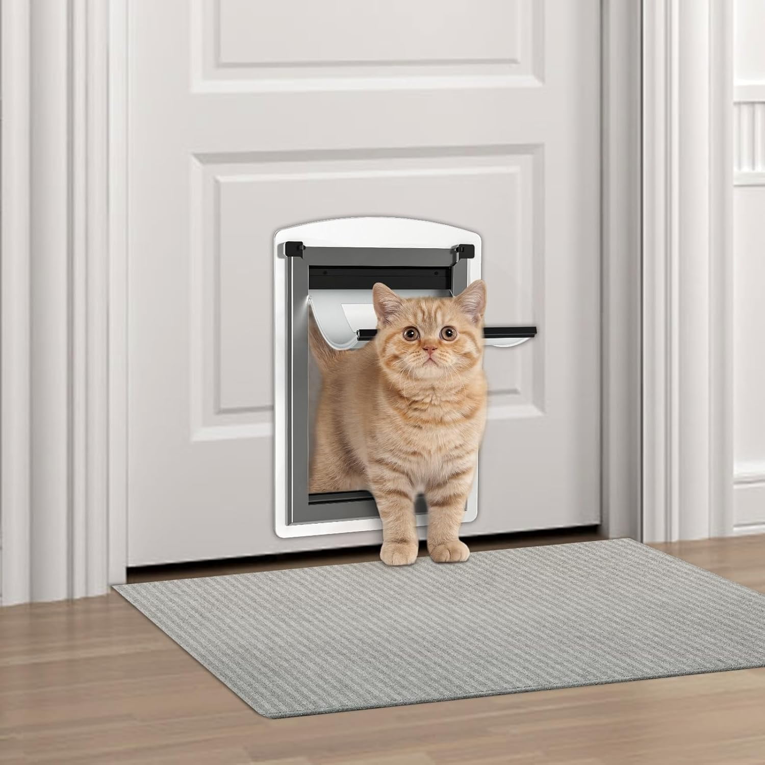 Cat Door for Door, Cat Door Interior & Exterior Door with Steel Frame ...