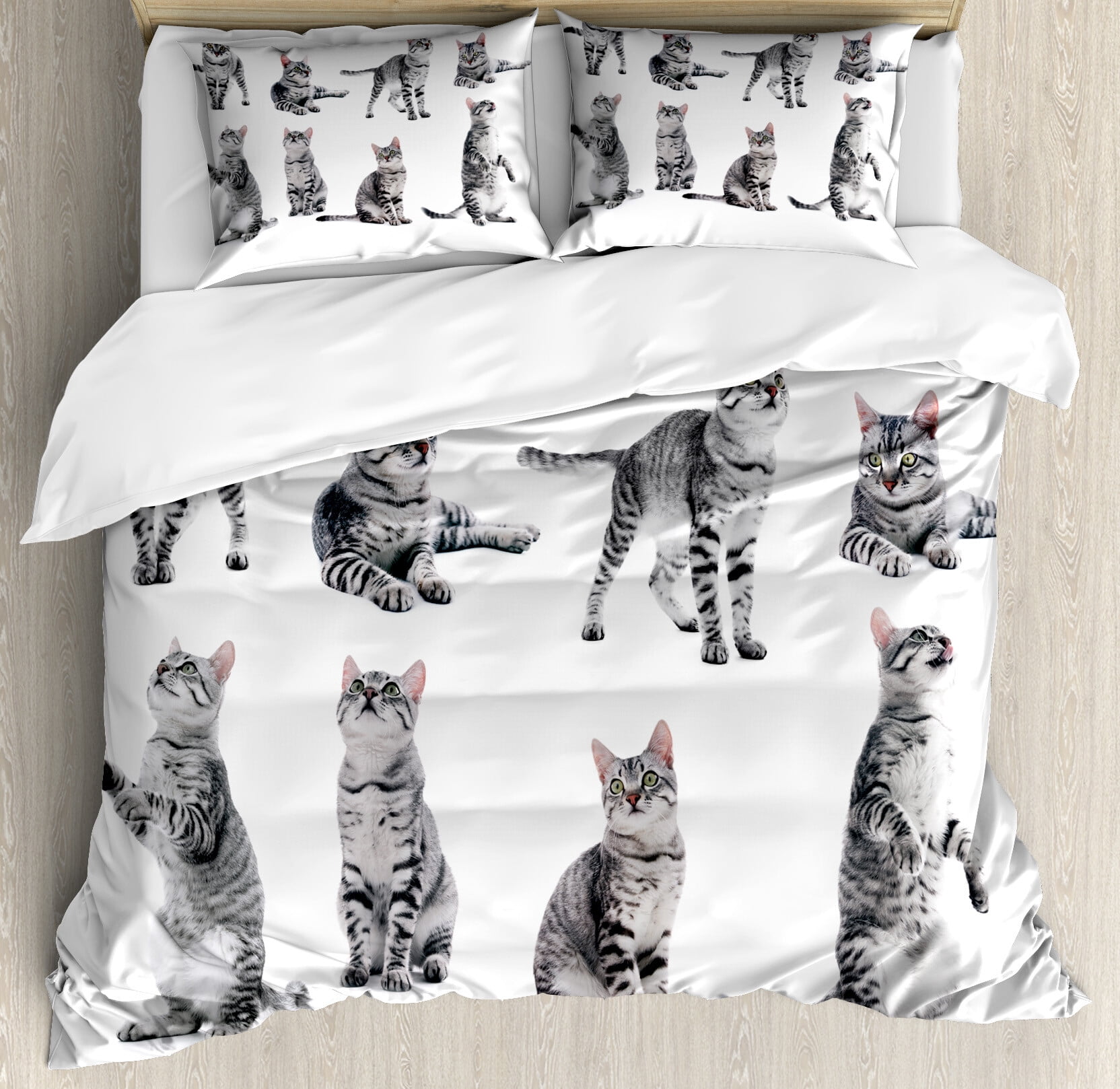 Cat Duvet Cover Set, Studio Shot Photos of Delicate Tabby Kitten on ...
