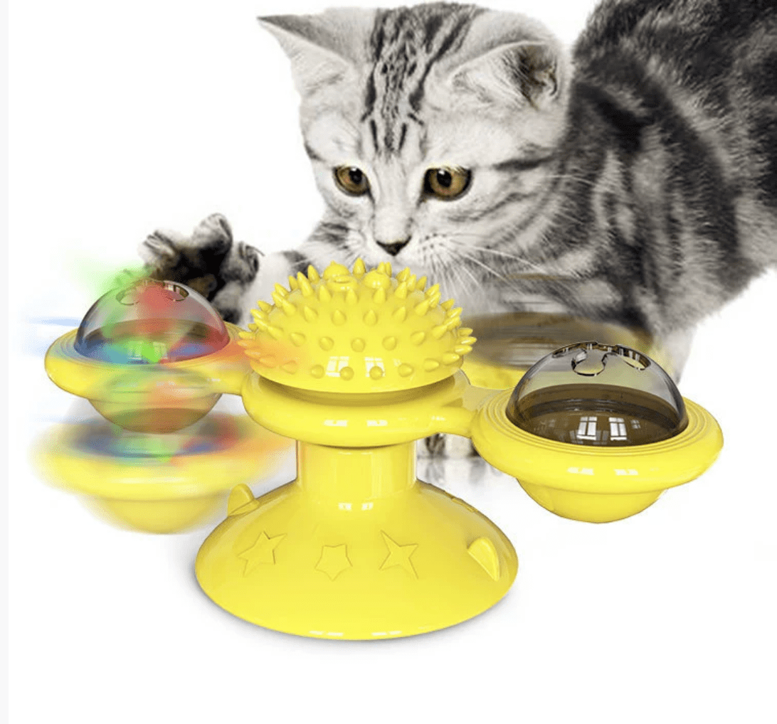 Nobrand Interactive Cat Entertainment Set with Rotating Disk & Feather ...