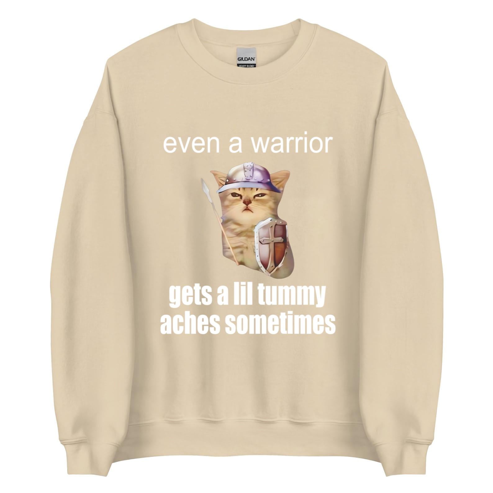 Cat Even A Warrior Gets A Lil Tummy Aches Sometimes Shirt-TH33938 ...