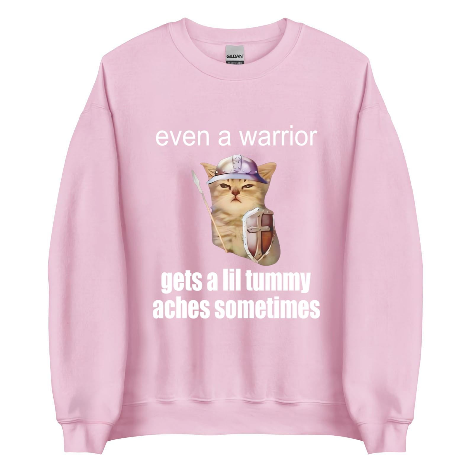 Cat Even A Warrior Gets A Lil Tummy Aches Sometimes Shirt-TH33938 ...