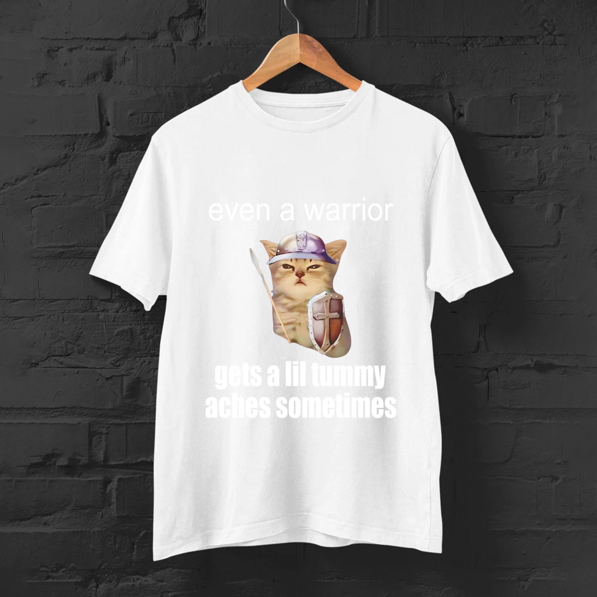 Cat Even A Warrior Gets A Lil Tummy Aches Sometimes Shirt - Walmart.com