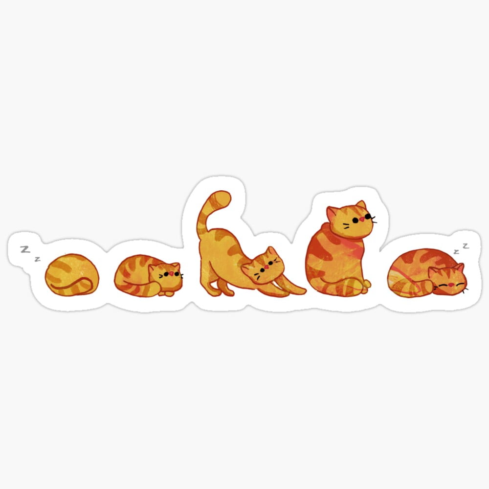 Cat Evolution Sticker Phone Decal Water Bottle Stickers Car Decals ...