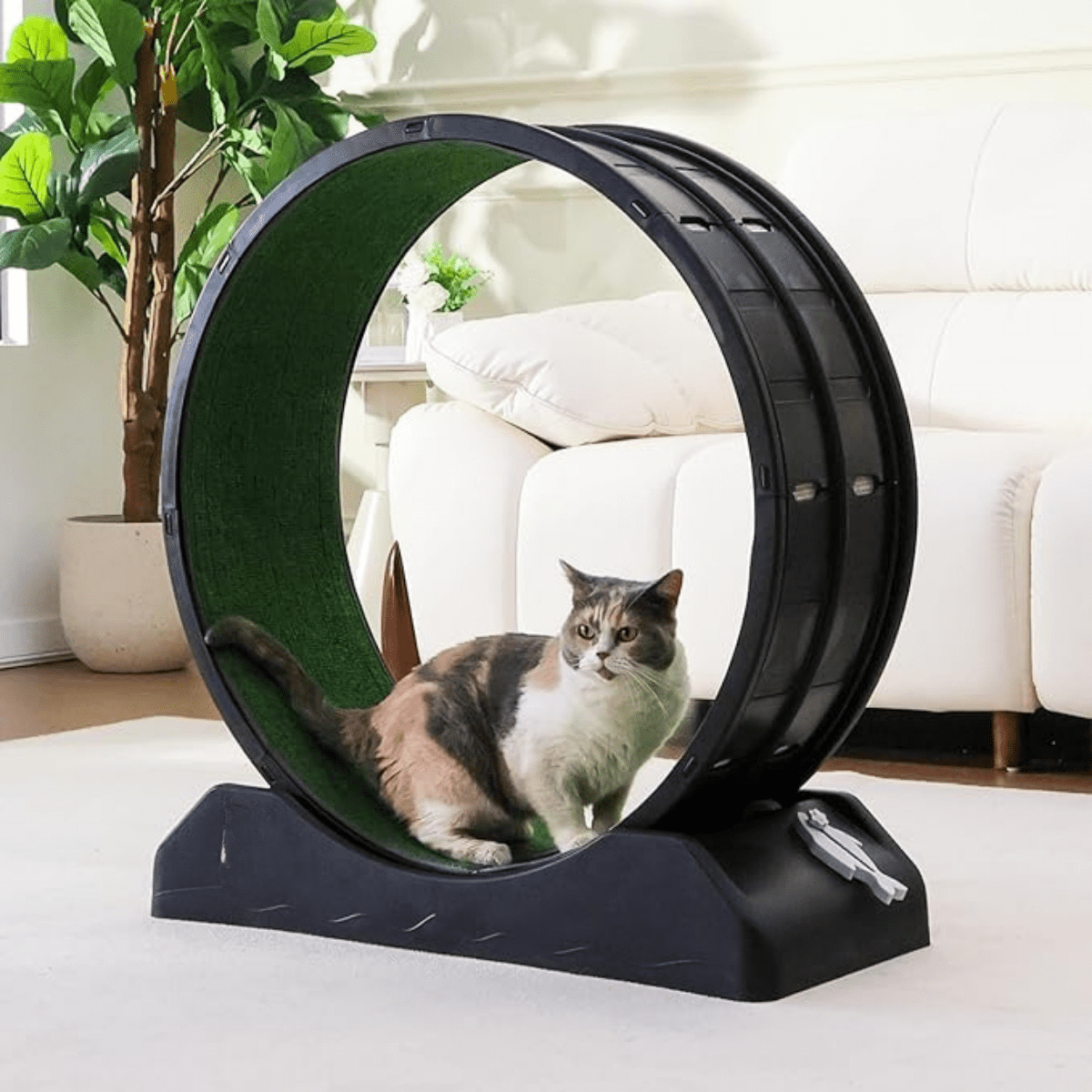 Cat Exercise Wheel, 31.5 Inch Cat Treadmill for Indoor Cats, Cat ...