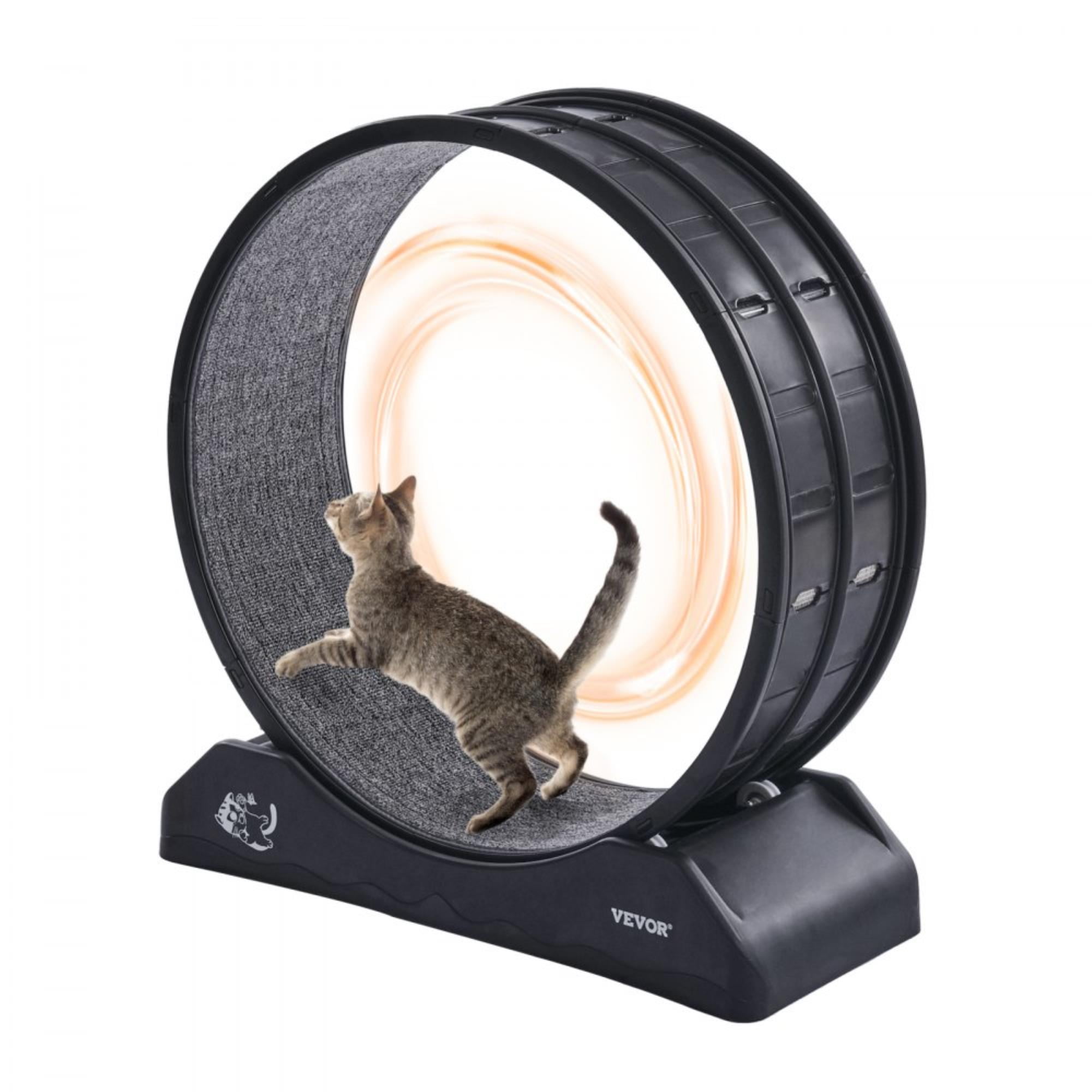 Cat Exercise Wheel 31.5 in Large Indoor Cat Running Wheel Treadmill ...