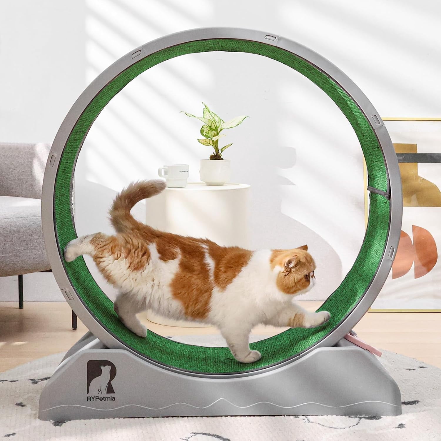 Cat Exercise Wheel, 39.4 Inch Cats Treadmill for Indoor, Cat Running ...