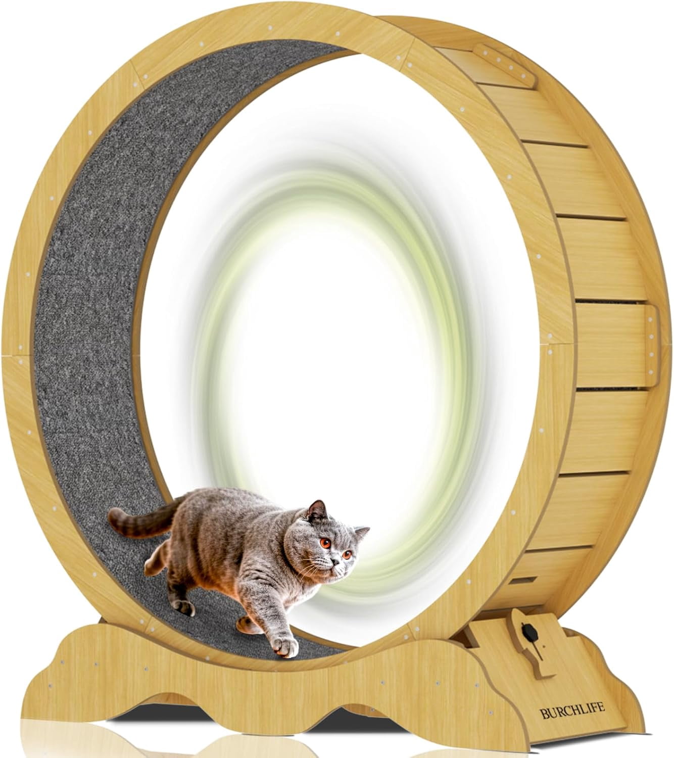 Cat Exercise Wheel 45 Inch Cat Treadmill for Indoor Cats, Running Wheel ...