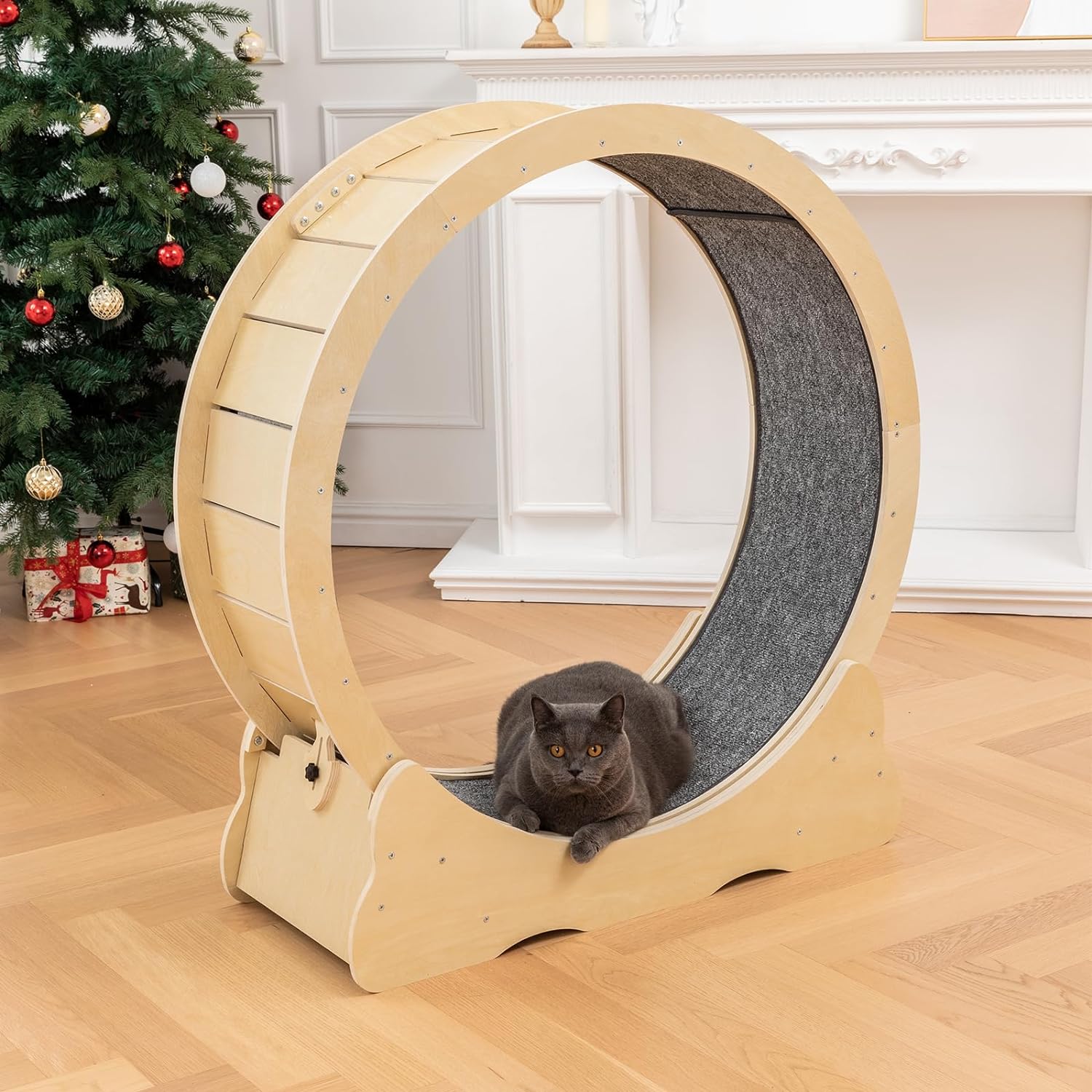 Pefilos 42" 4-in-1 Cat Exercise Wheel for Indoor Cats, Large Cat ...