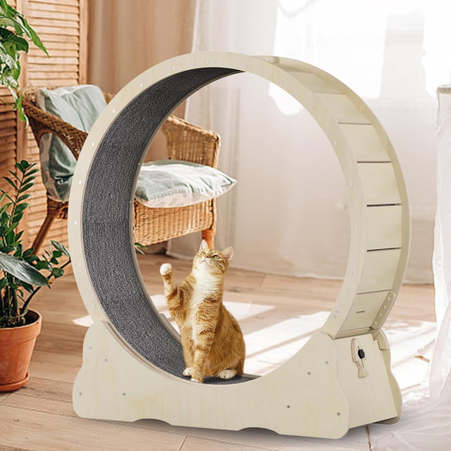 Cat Exercise Wheel for Indoor Cats, Cat Running Wheel with TPE Silent ...