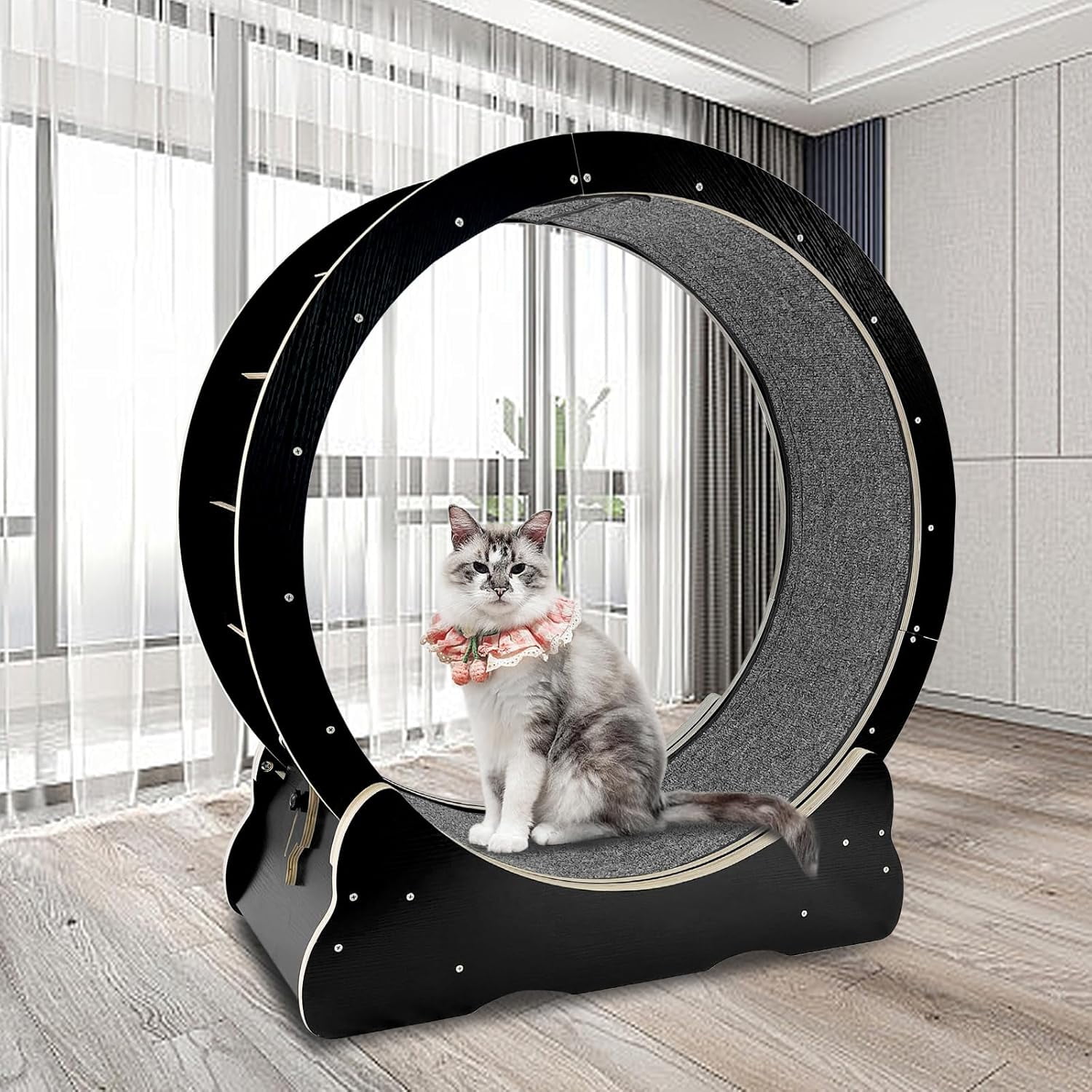 Cat Exercise Wheel for Indoor Cats, Cat Running Wheel with TPE Silent ...
