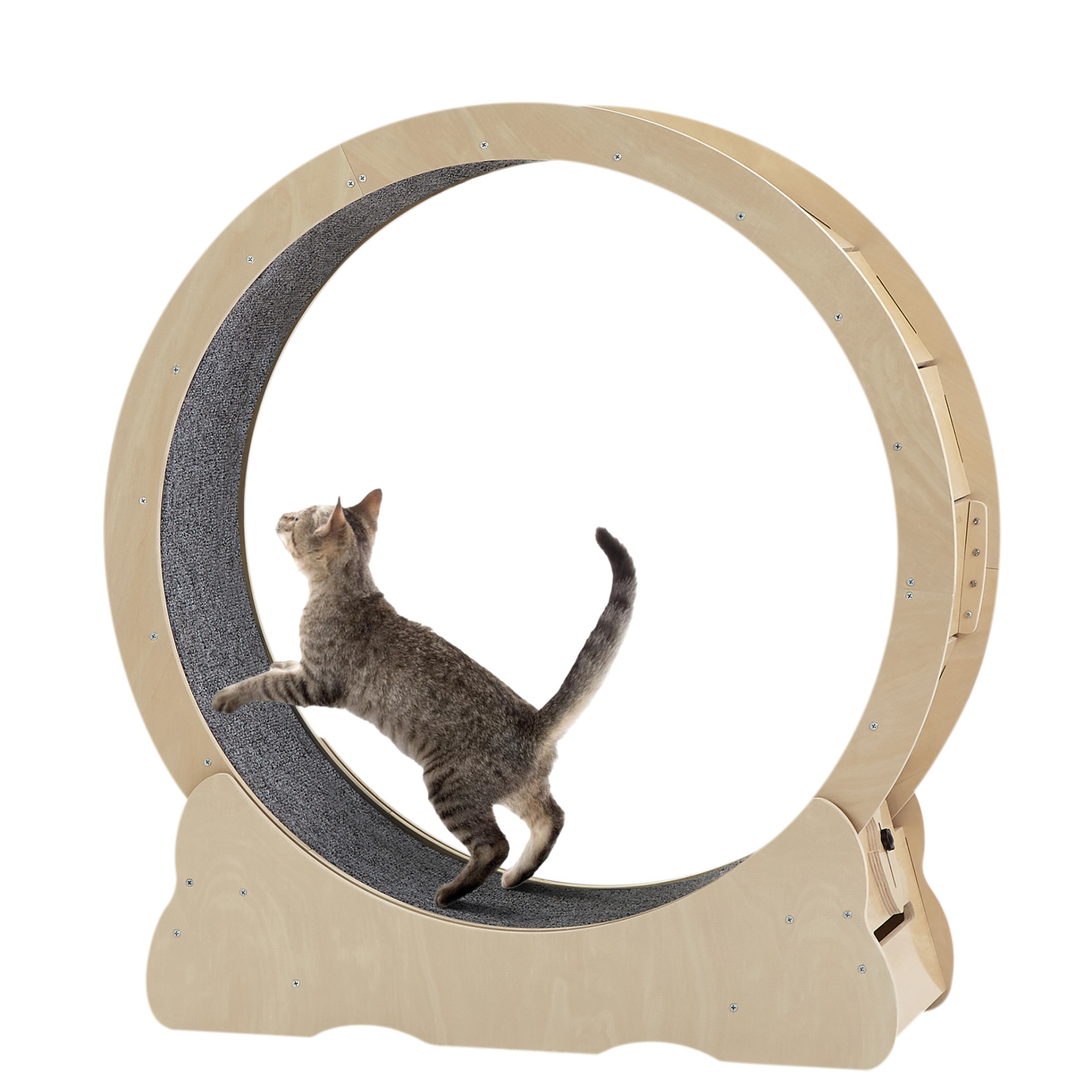 Cat Exercise Wheel for Indoor Cats, Wooden Cat Running Treadmill ...