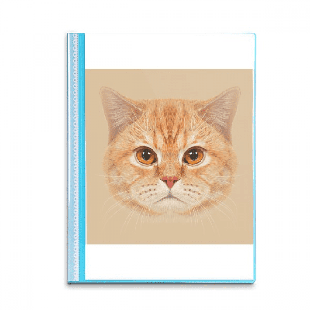 Cat Eyes Ears Lifelike Art Deco Fashion Book Sheet Protectors Portfolio ...