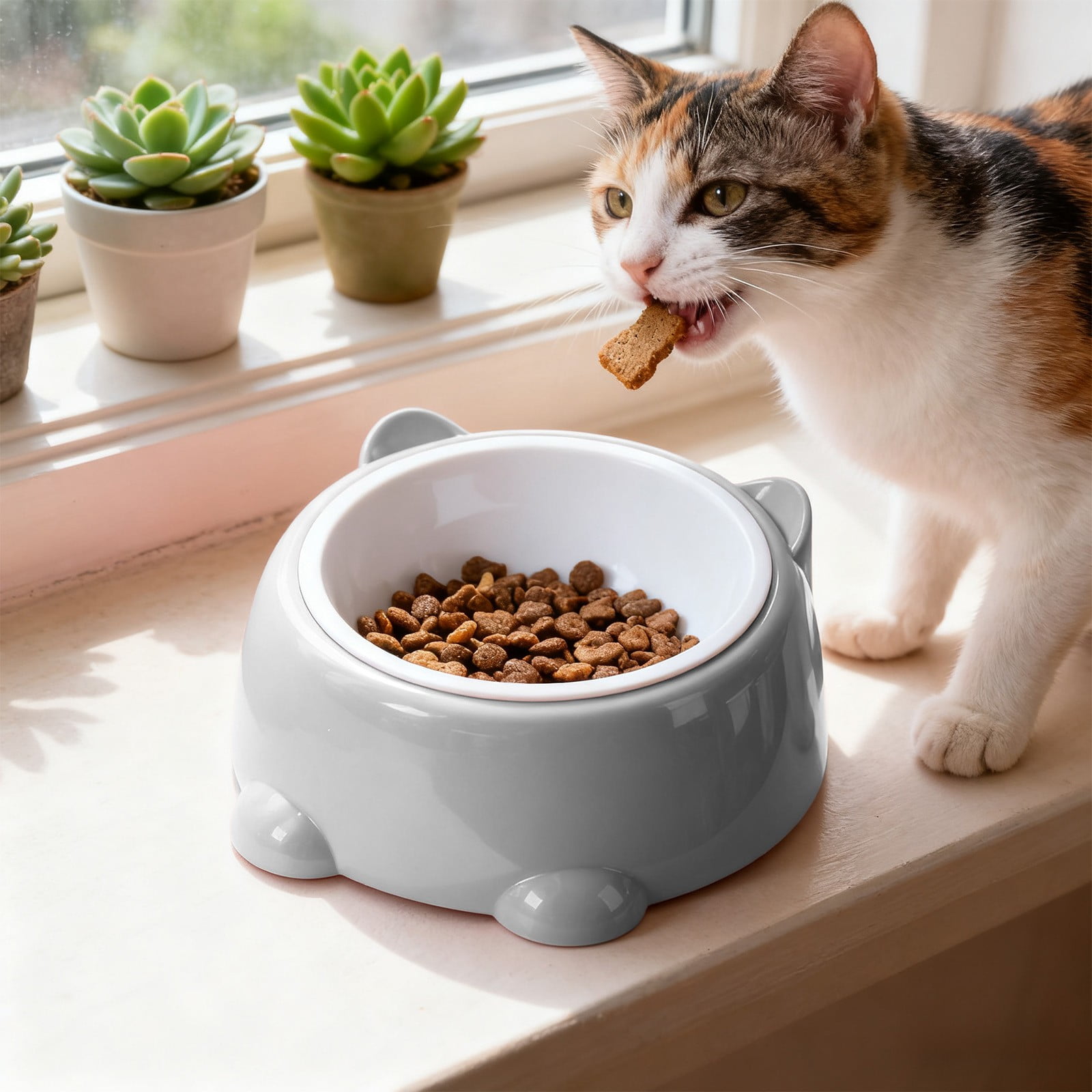 Cat Food Bowl, Raised Anti-Vomit Pet Feeding Bowl with Wide Shallow ...