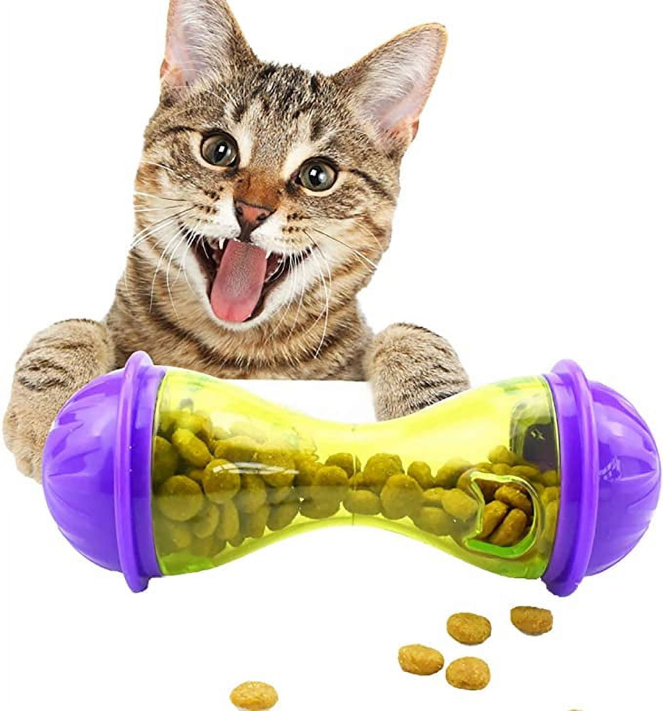 Cat Food Dispenser Treat Ball Interactive Toy IQ Treat Dispensing Toy ...