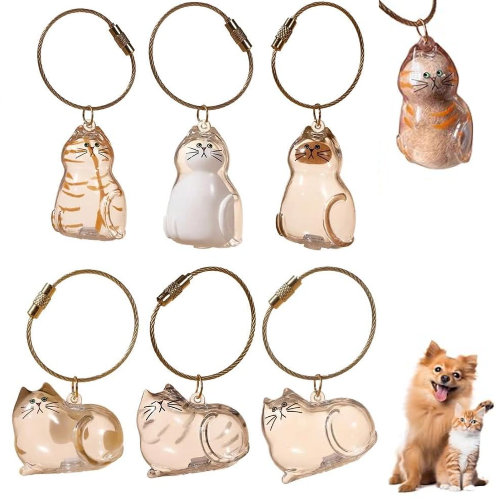 Cat Fur Storage Bottle Keychain- My Pet's Fur Container,Transparent Cat ...