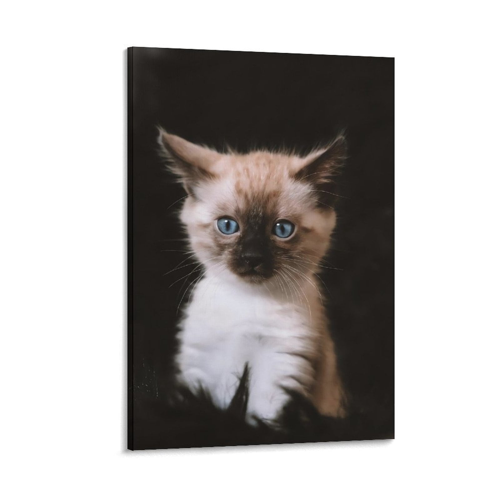 Cat Furry Cute Animal Picture Print Wall Art Poster Painting Canvas ...