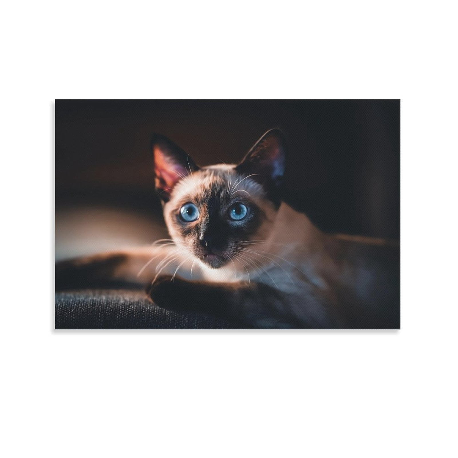 Cat Furry Cute Animal-a Room Aesthetic Poster Print Art Wall Painting ...
