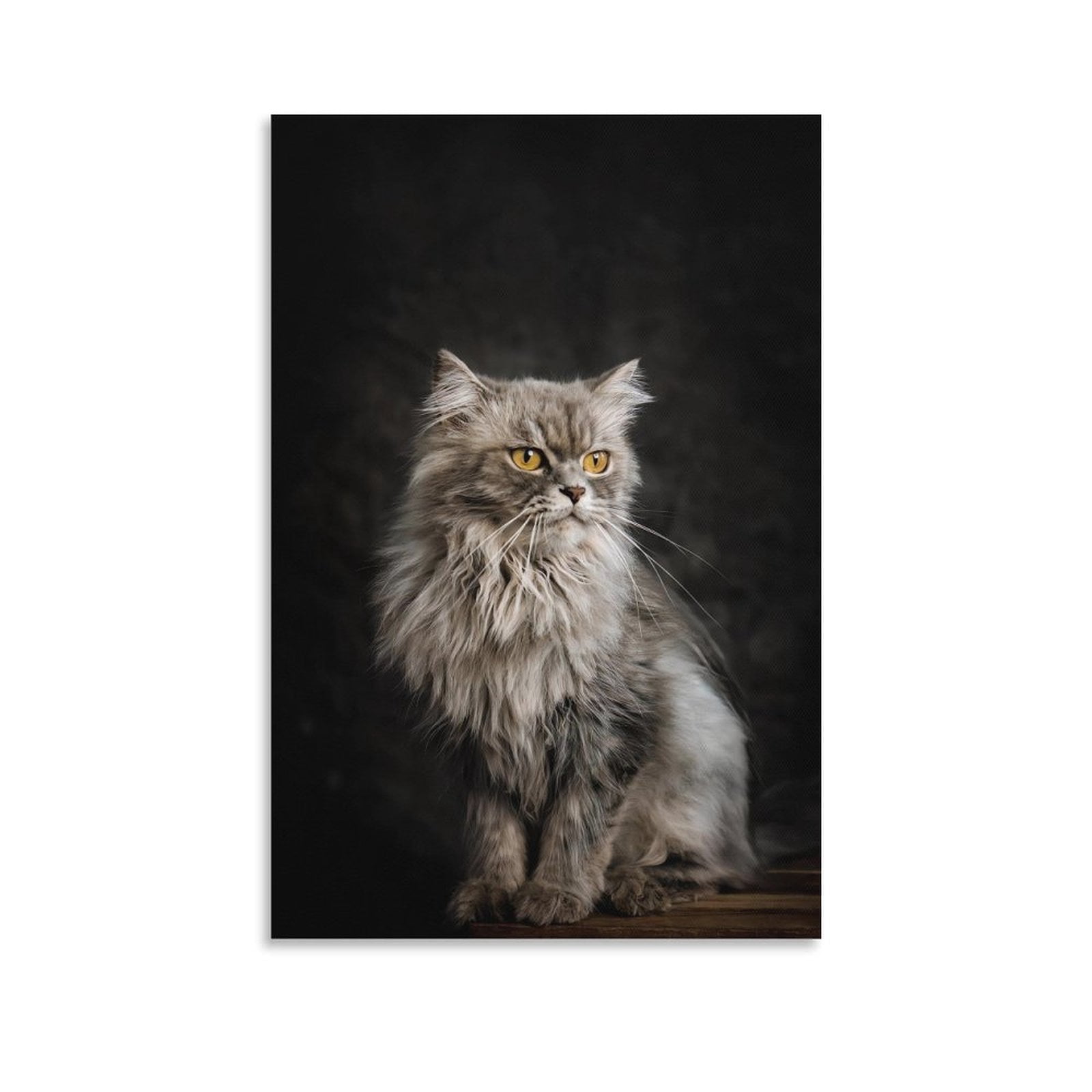 Cat Furry Cute Animal-b Painting On Canvas Wall Art Poster Scroll ...