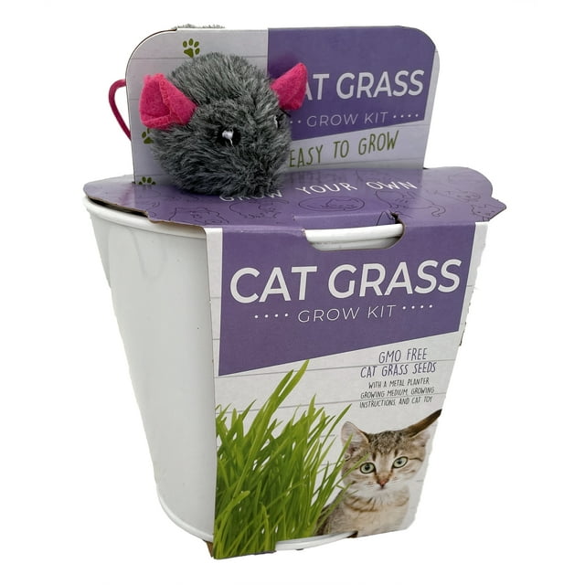 Cat Grass Grow Kit - Metal Planter,Growing Medium,GMO-Free Seeds and ...