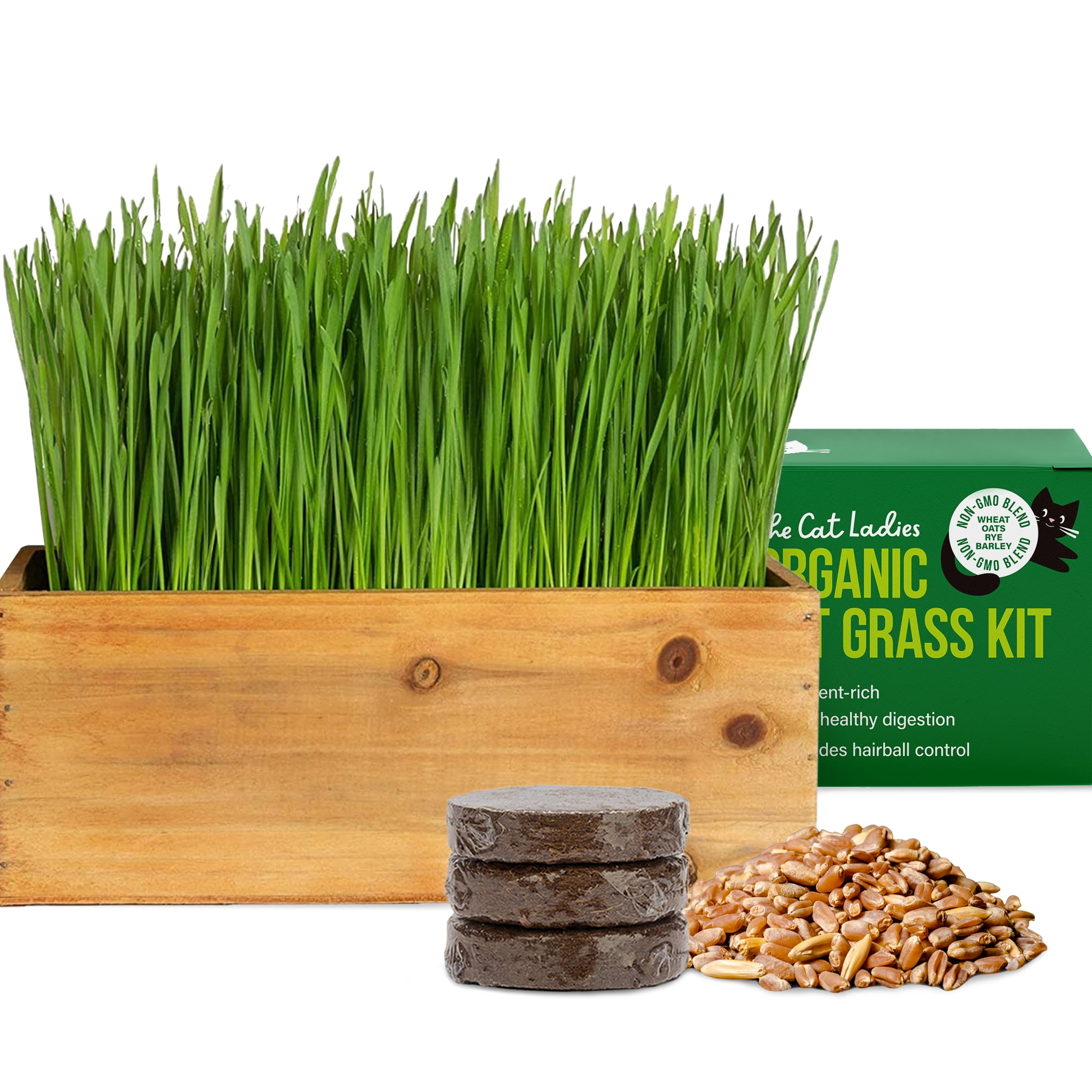 Cat Grass Kit (Organic) Complete with Rustic Wood Planter, Seed and ...