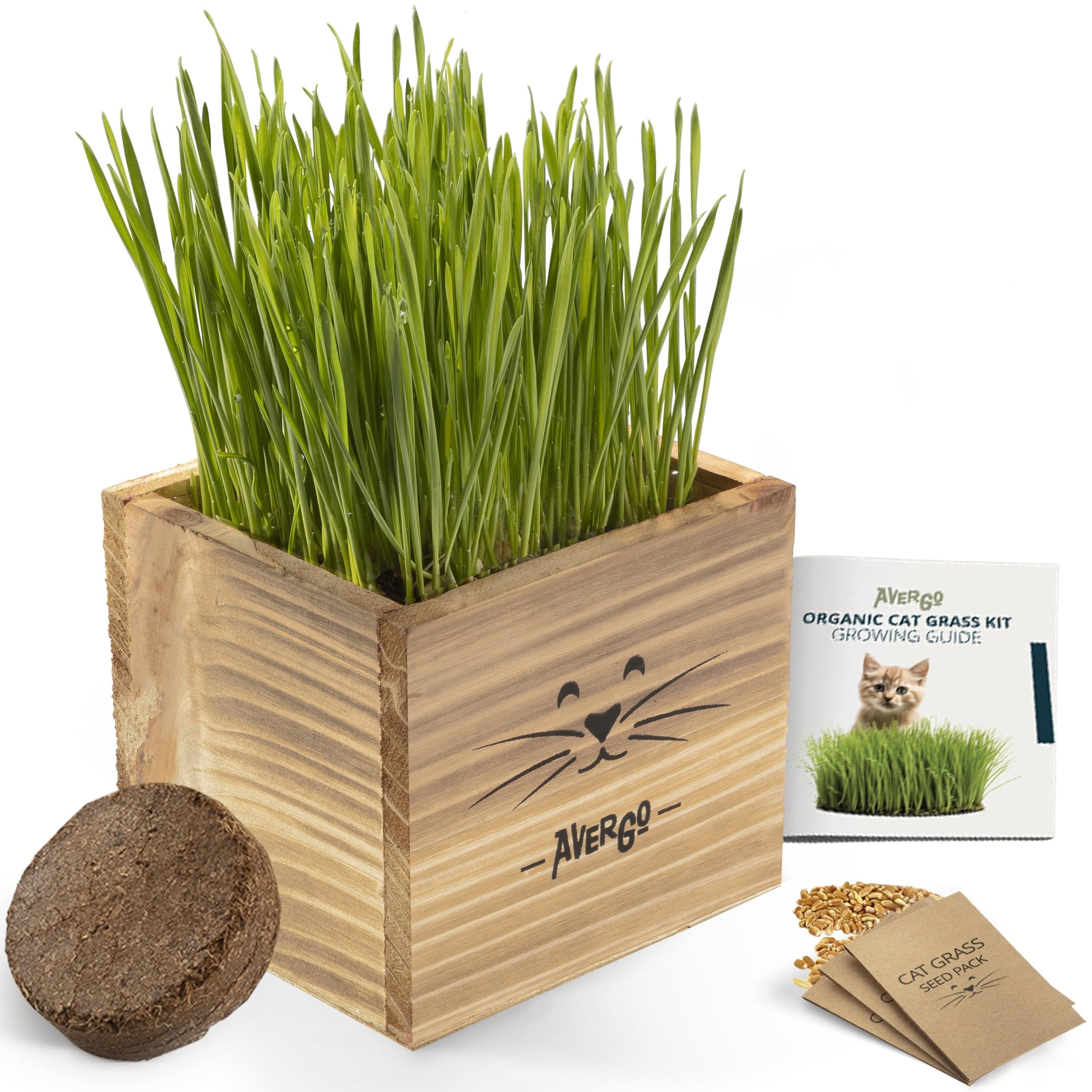 Cat Grass Kit for Indoor Cats - MHD1x2 Seed Packets | Cat Grass Seeds ...