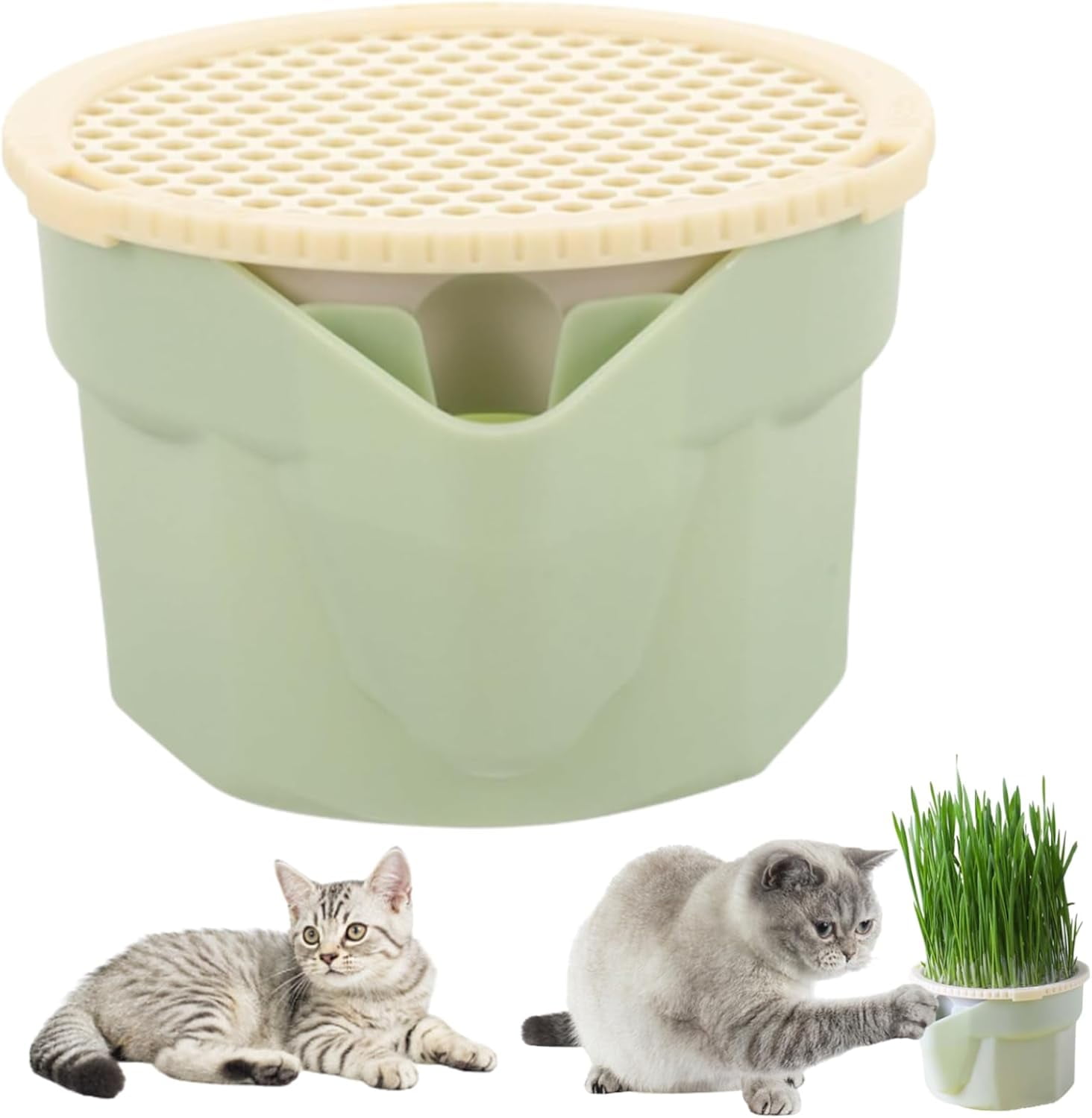Cat Grass Planter 3.5 Inch Plastic Hydroponic Cat Grass Cup Box Easy to ...