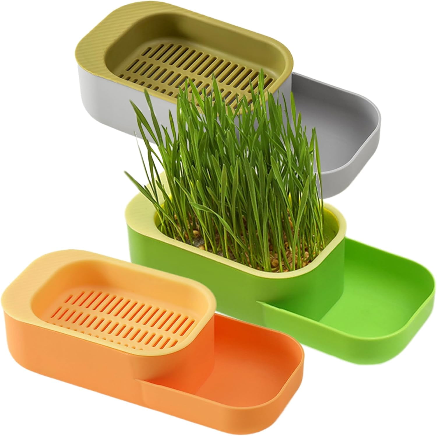 Cat Grass Planter Hydroponic Cat Grass Box,Cat Grass Growing Kit ...