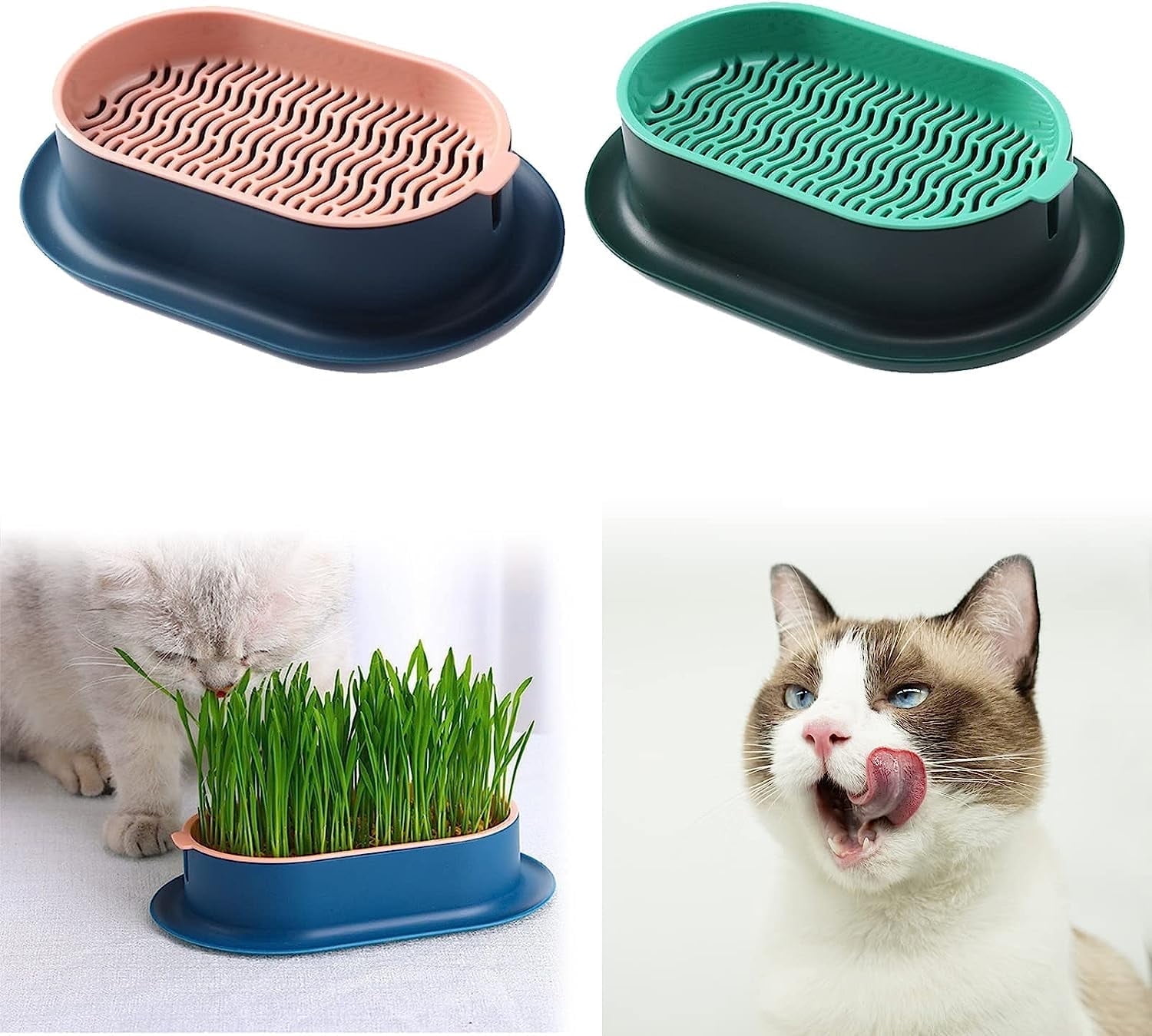 Cat Grass Planter, Hydroponic Cat Grass Planter Kit, Easy to Plant Soilless Culture Cat Grass ...