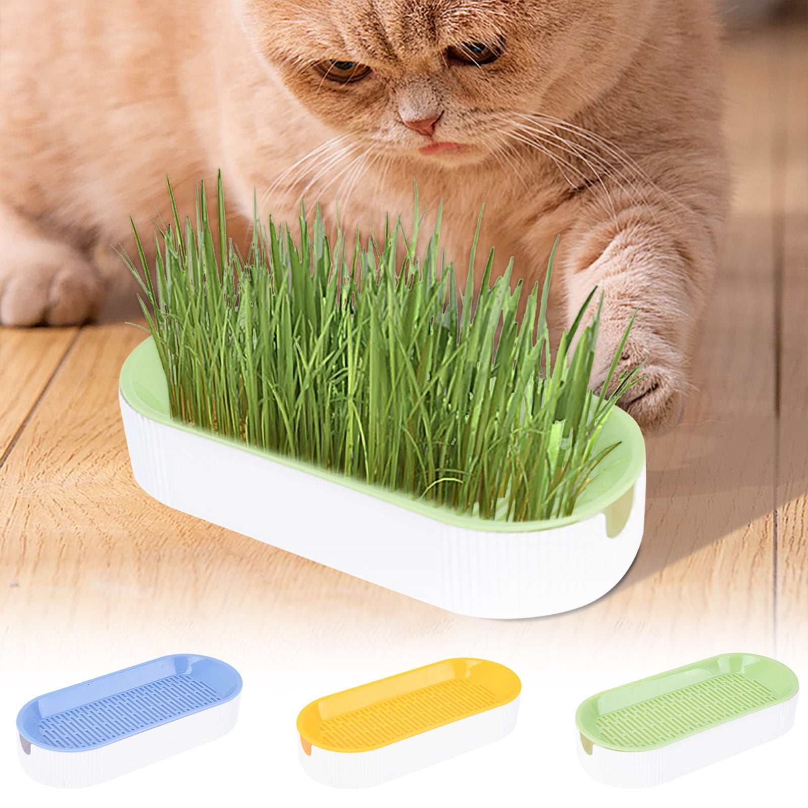 Cat Grass Planter, Hydroponic Planter, Hydroponic Grass Planter, Self ...