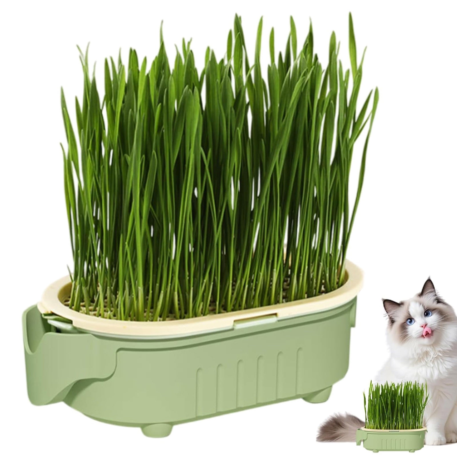 Cat Grass Planter Pet Grass Pot Wheatgrass Planting Trays Hydroponic Cat Grass Growing Kits for ...