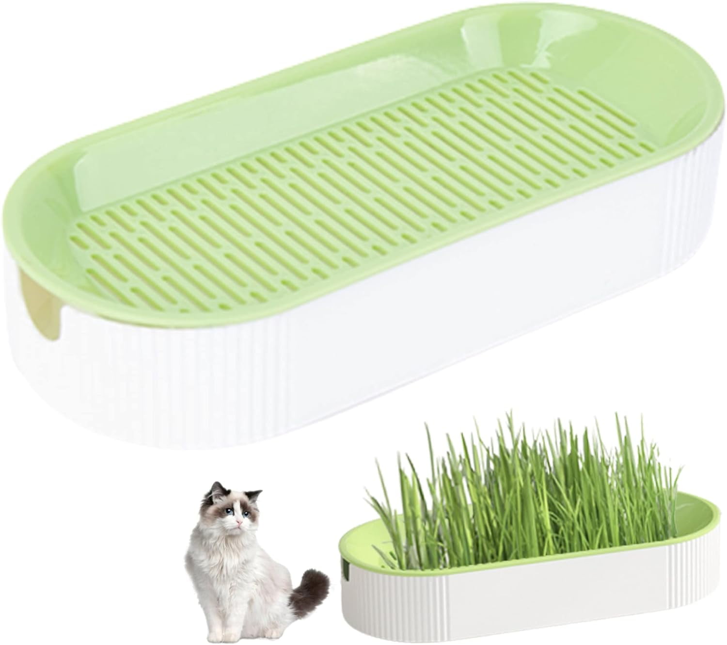 Cat Grass Planter, Self Watering Nursery Pot, Indoor Green Window Box ...