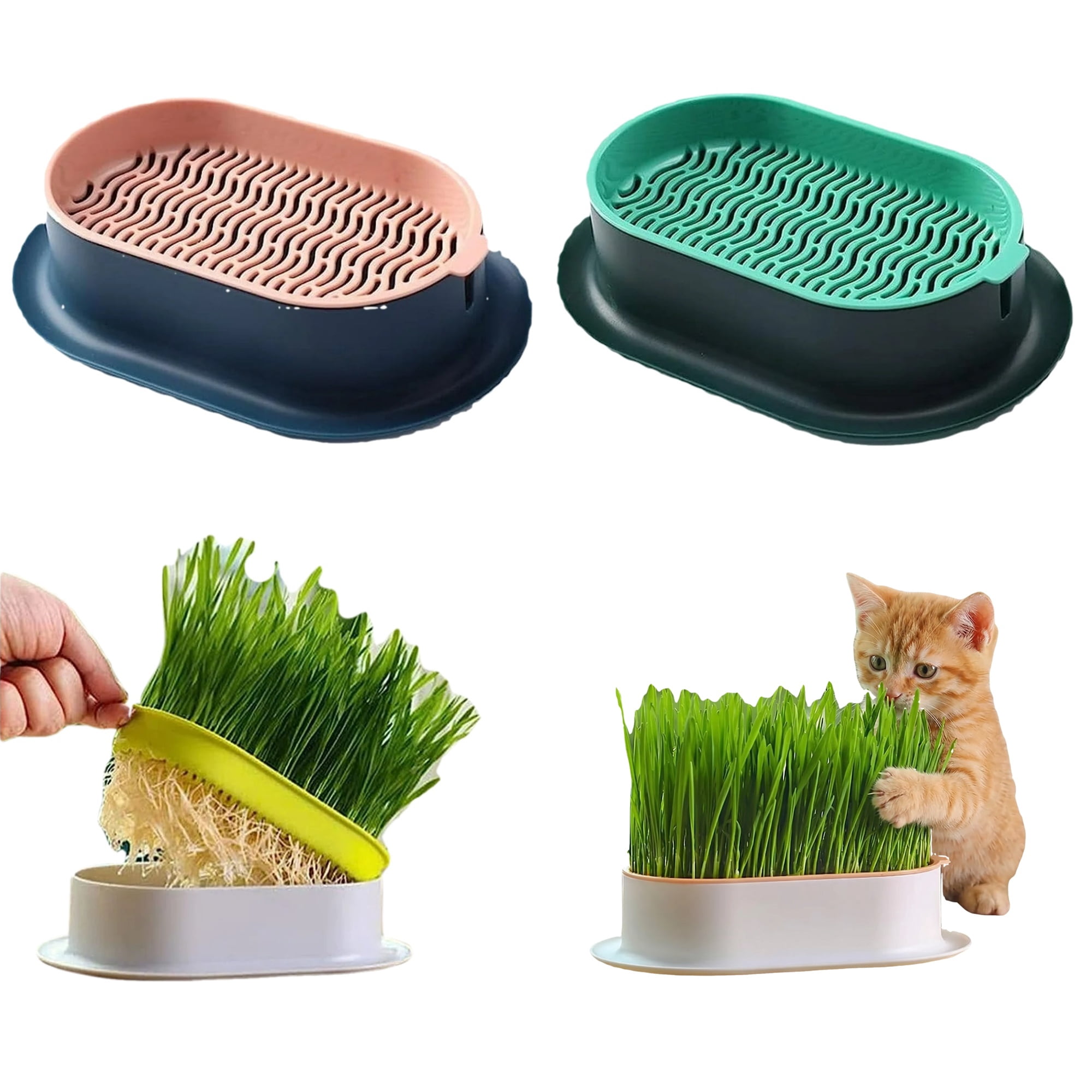 Cat Grass Planter for Indoor Cats (No Seeds Included) Hydroponic Pet ...