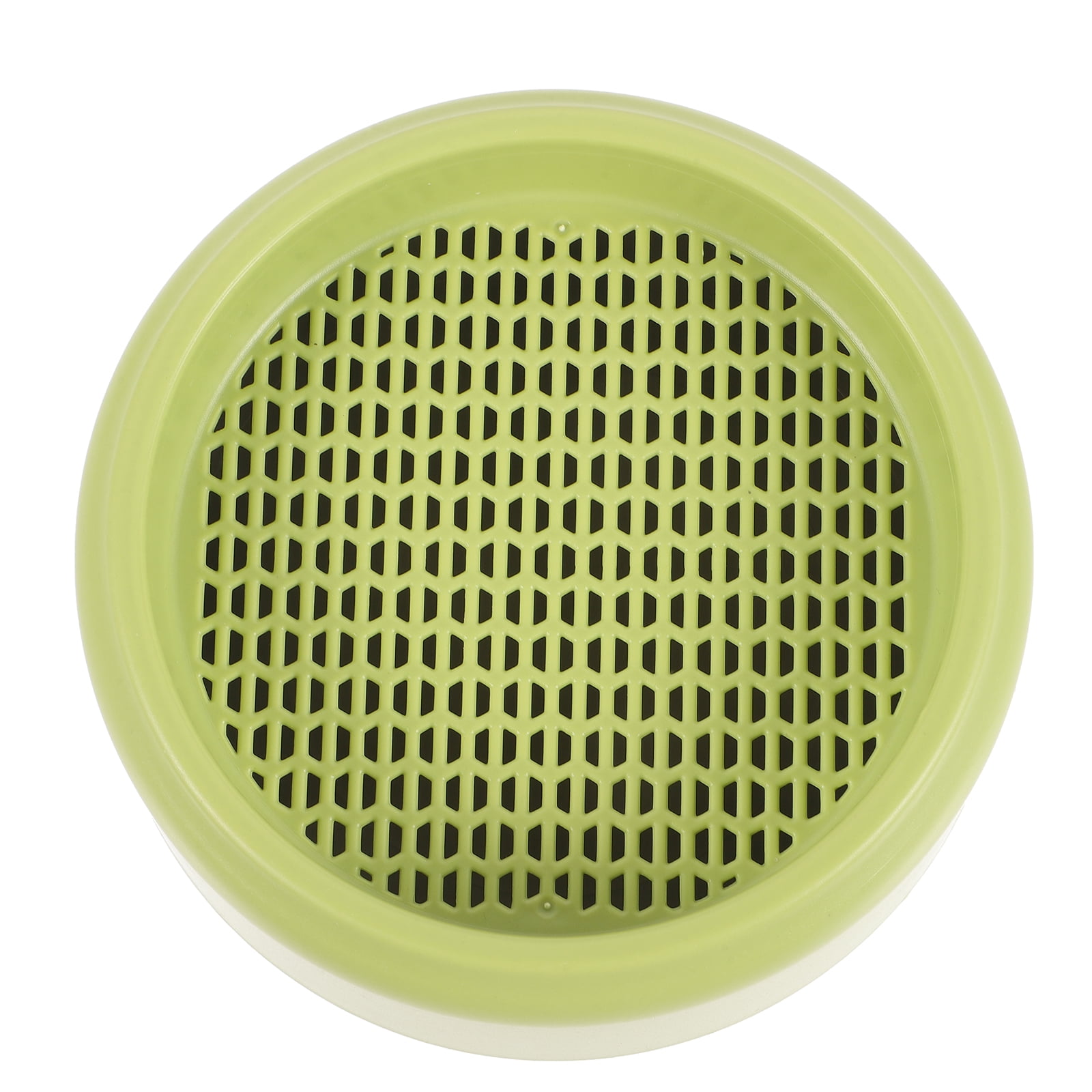 Cat Catnip Plants Box Hydroponic Planting Box Soilless Catnip Planting ...