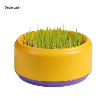 Mini Organic Pet Grass Kit -3 Pack- Grow Wheatgrass for Pets: Dog, Cat ...