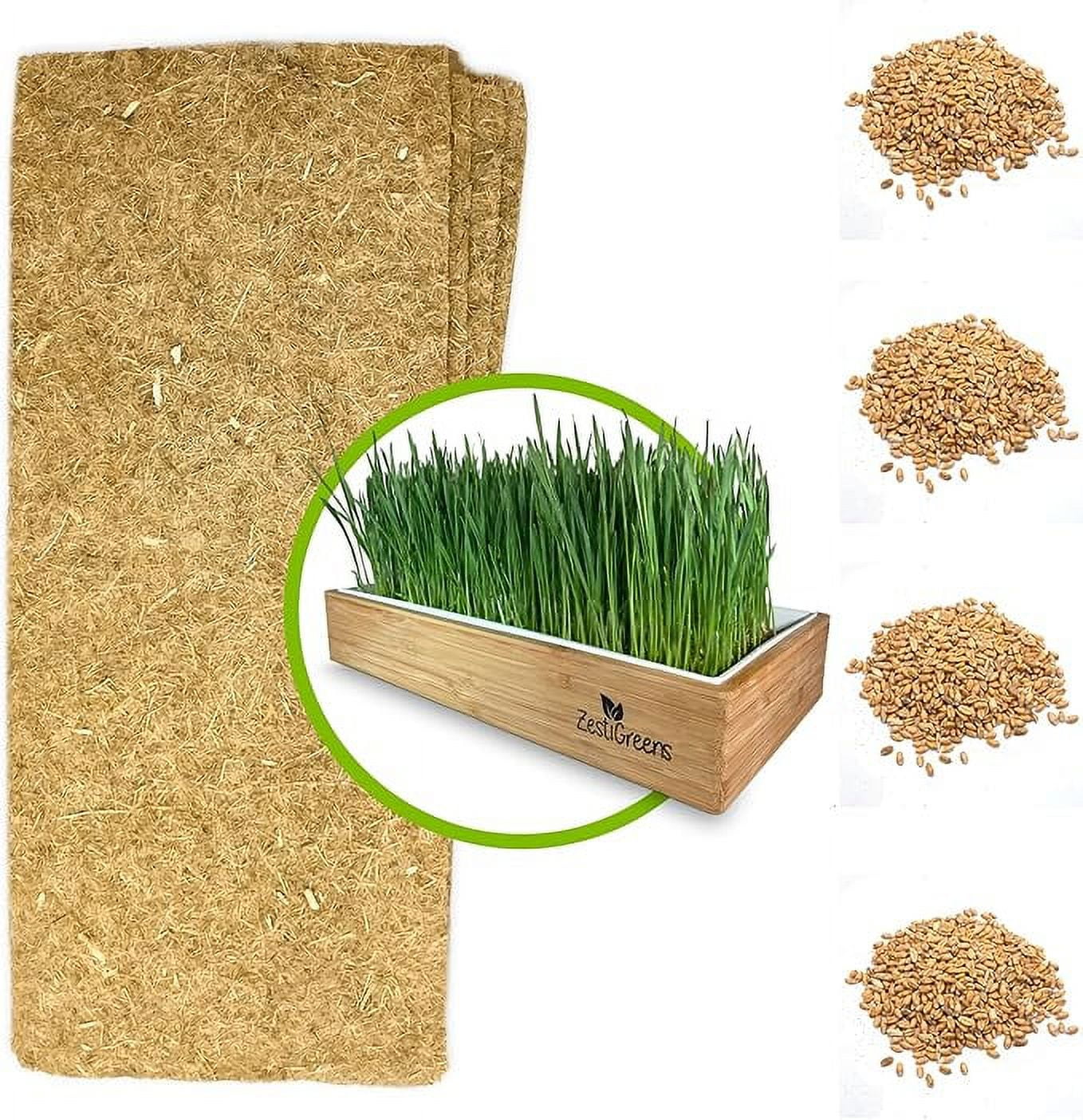 Cat Grass Refills for Self Watering Cat Grass Kit - 4 Mats and 4 Cat ...
