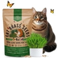 Cat Grass Seeds Mix - 5,200 Non-GMO Heirloom Seeds for Cats & Pets, 4 ...