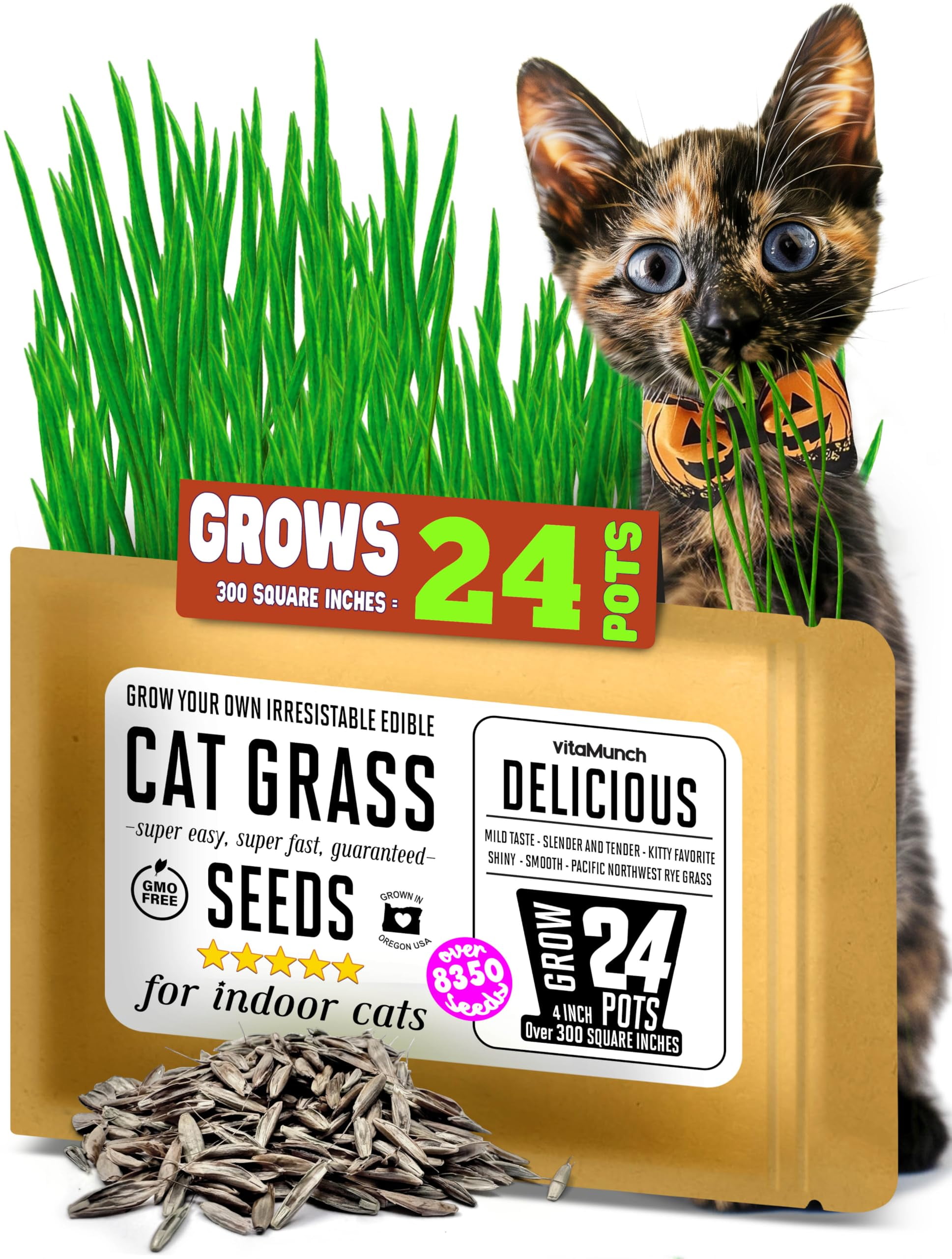 Cat Grass Seeds - Smooth Tasty Ryegrass MHD1- Grows 24 Pots of Fresh ...