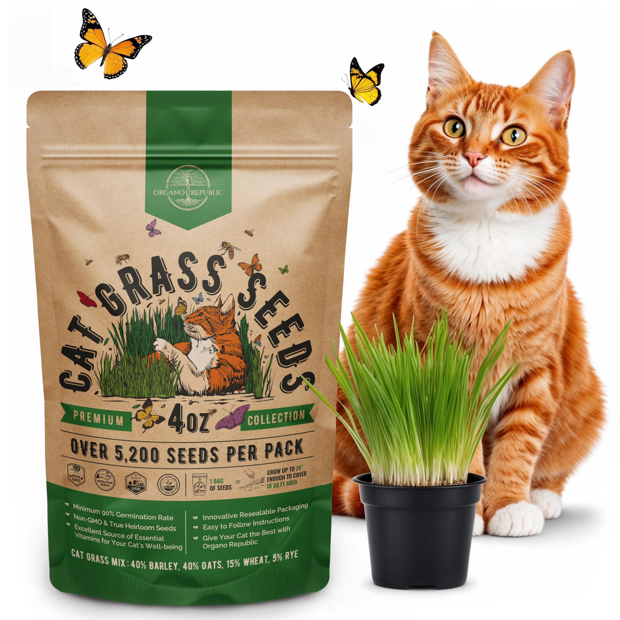 Cat Grass Seeds TWE5 Mix - 5,200 Non-GMO Heirloom Seeds Cats & Pets, 4 ...
