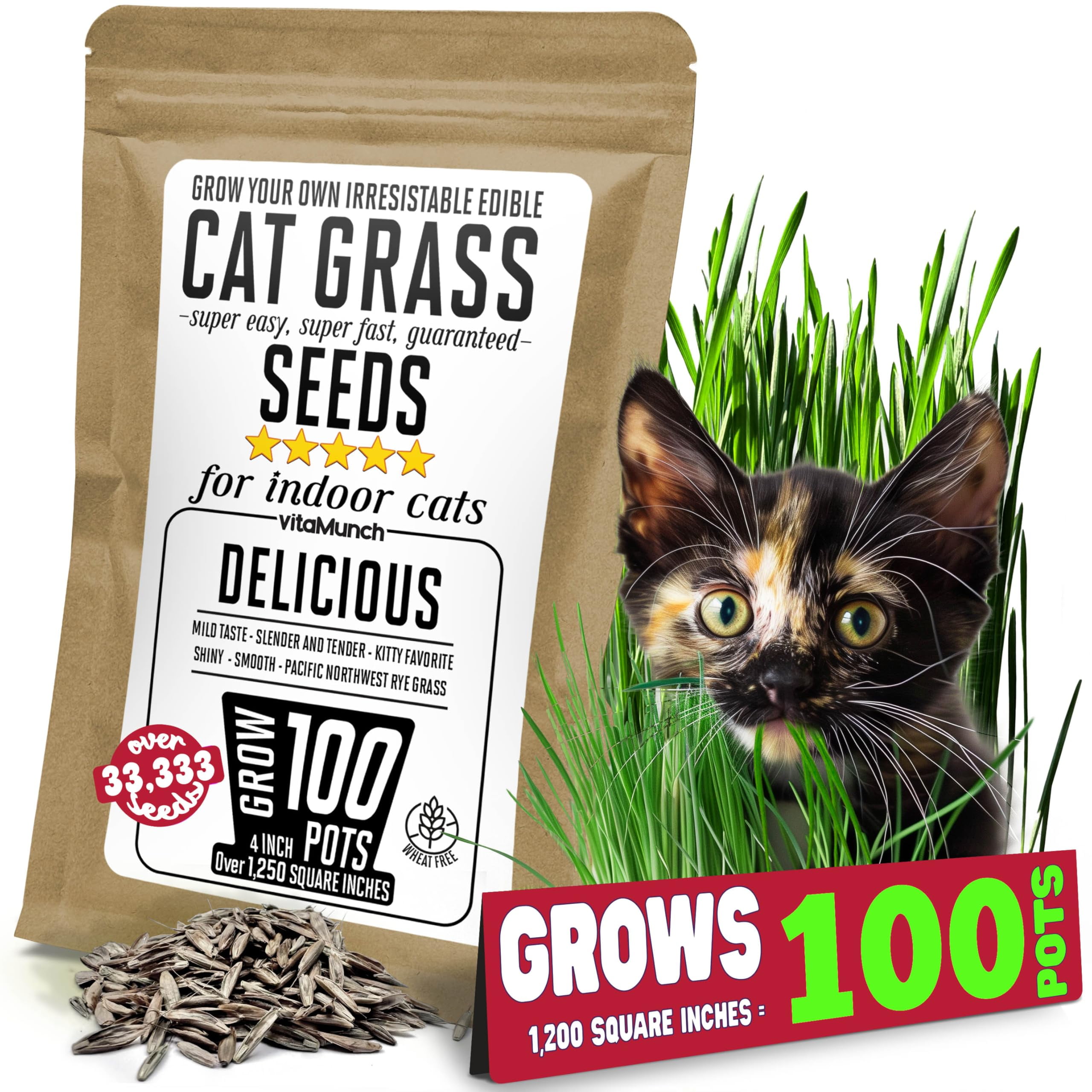Cat Grass Seeds TWE5 - Smooth Tasty Ryegrass - Grows Pots of Fresh Cat ...